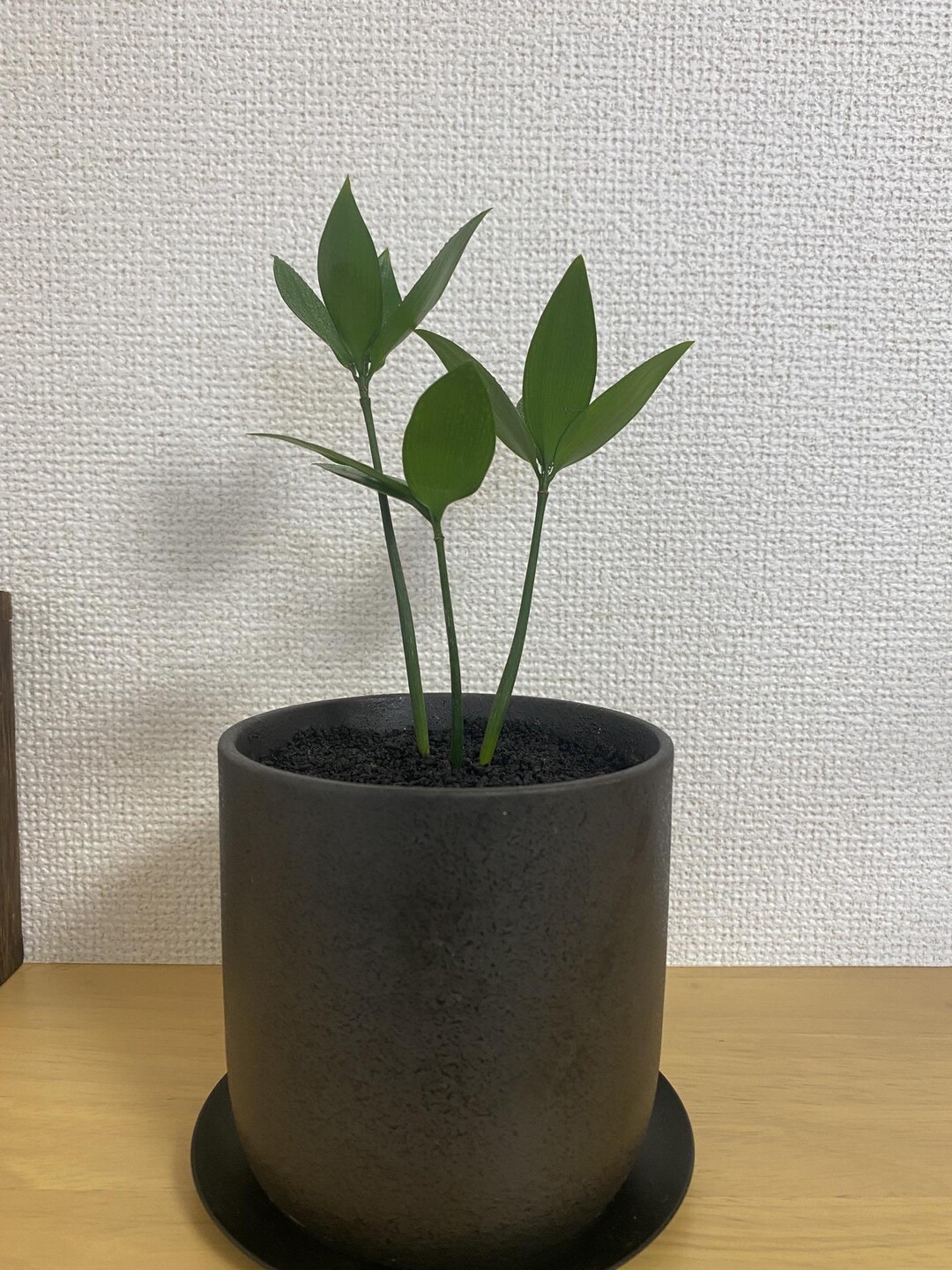 おはようございます☀ 先週に落下して土... / yagao🏔 さんのモーメント | YAMAP / ヤマップ