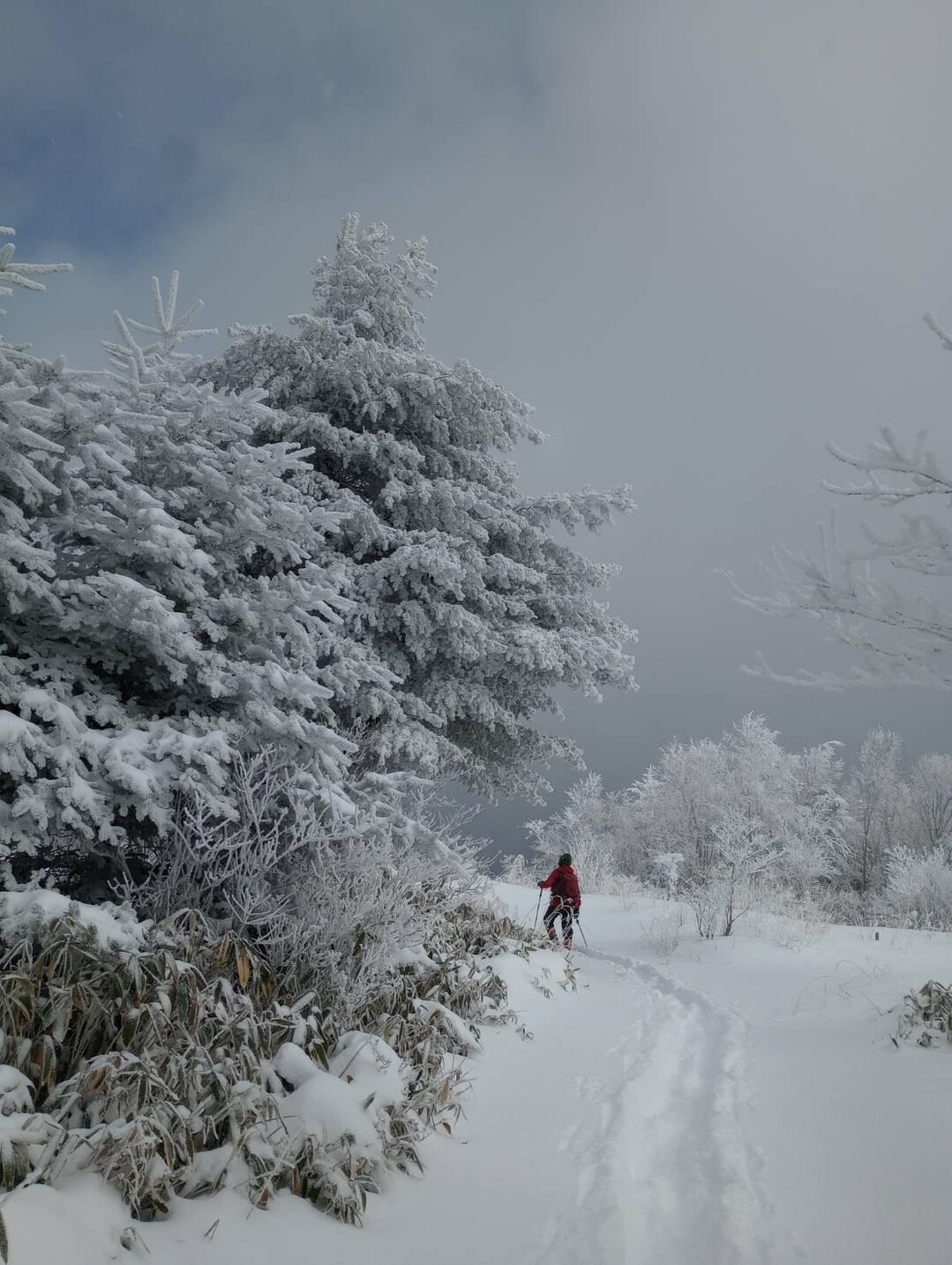 蛇峠山 / eryiさんの蛇峠山の活動データ | YAMAP / ヤマップ