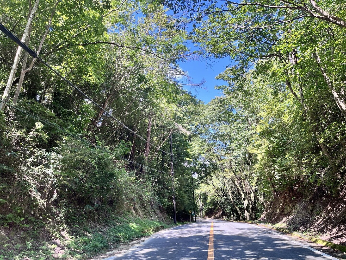 高安山・信貴山・雌嶽（信貴山南峰） / Emi Snoopy さんの生駒山・神津嶽・大原山の活動データ | YAMAP / ヤマップ