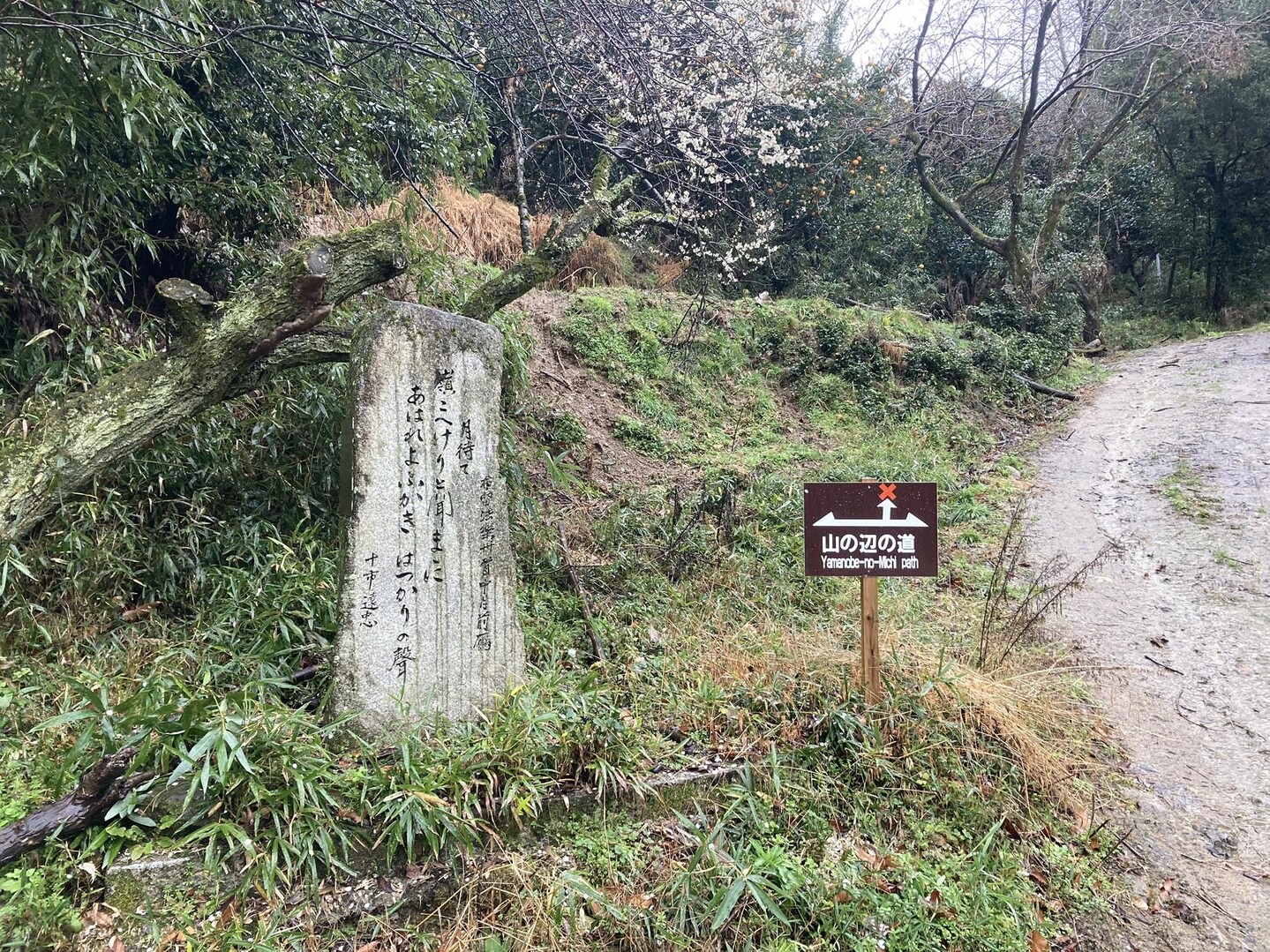 山辺の道-2024-02-23 / Eriさんのウォーキングの活動データ | YAMAP / ヤマップ