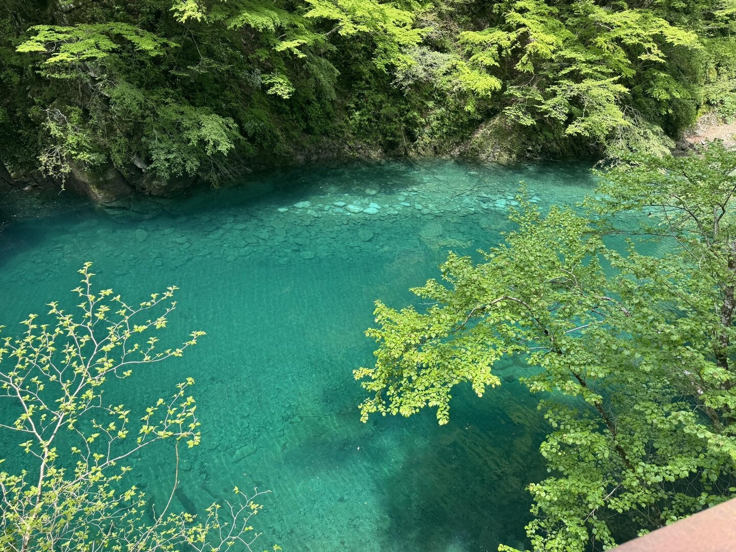 ユーシン渓谷 / FJさんの塔ノ岳・丹沢山・蛭ヶ岳の活動データ | YAMAP / ヤマップ