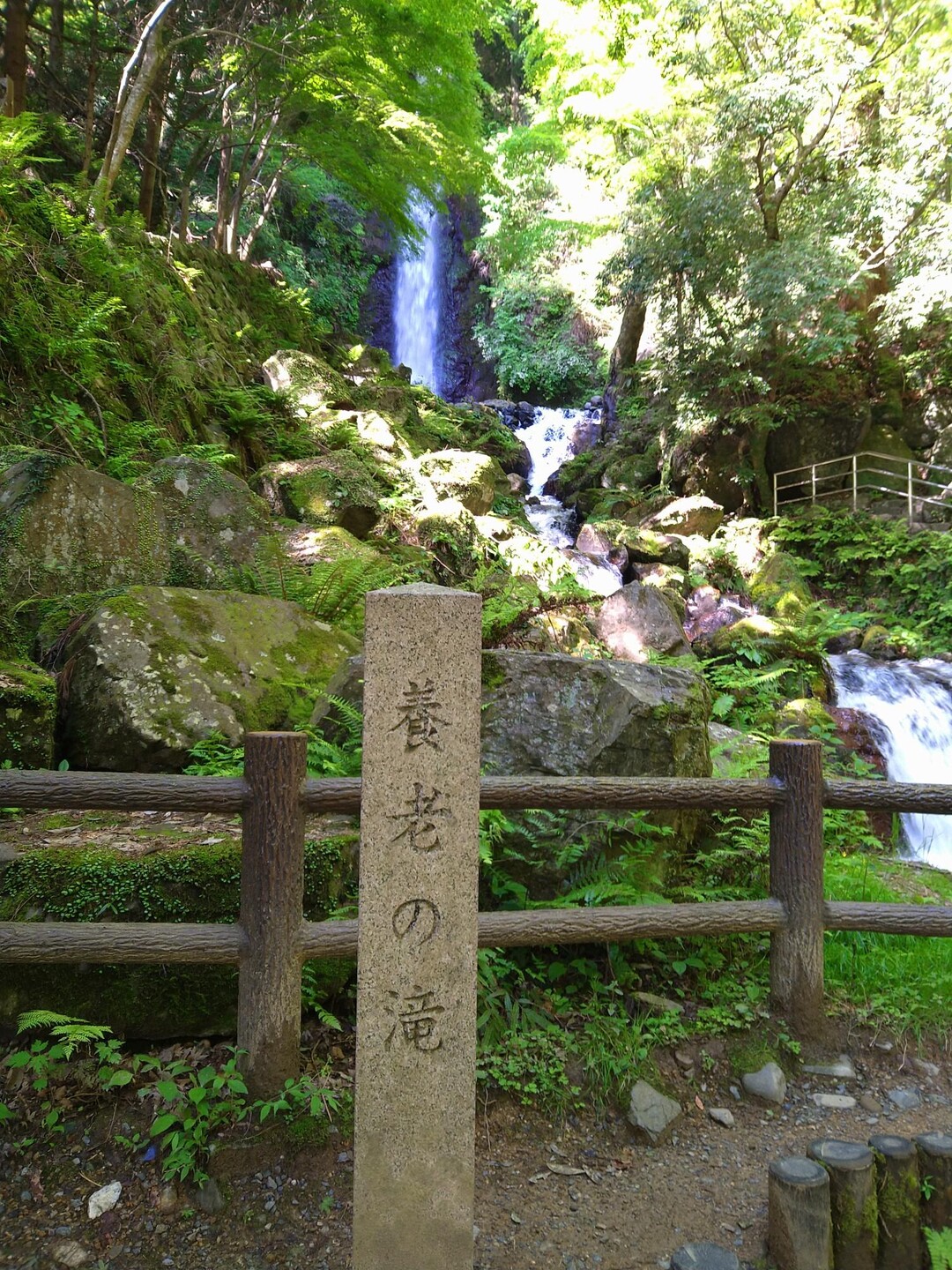三方山・北尾根P826峰・小倉山・養老山 / たくちゃんさんの養老山・笙ヶ岳・三方山の活動データ | YAMAP / ヤマップ