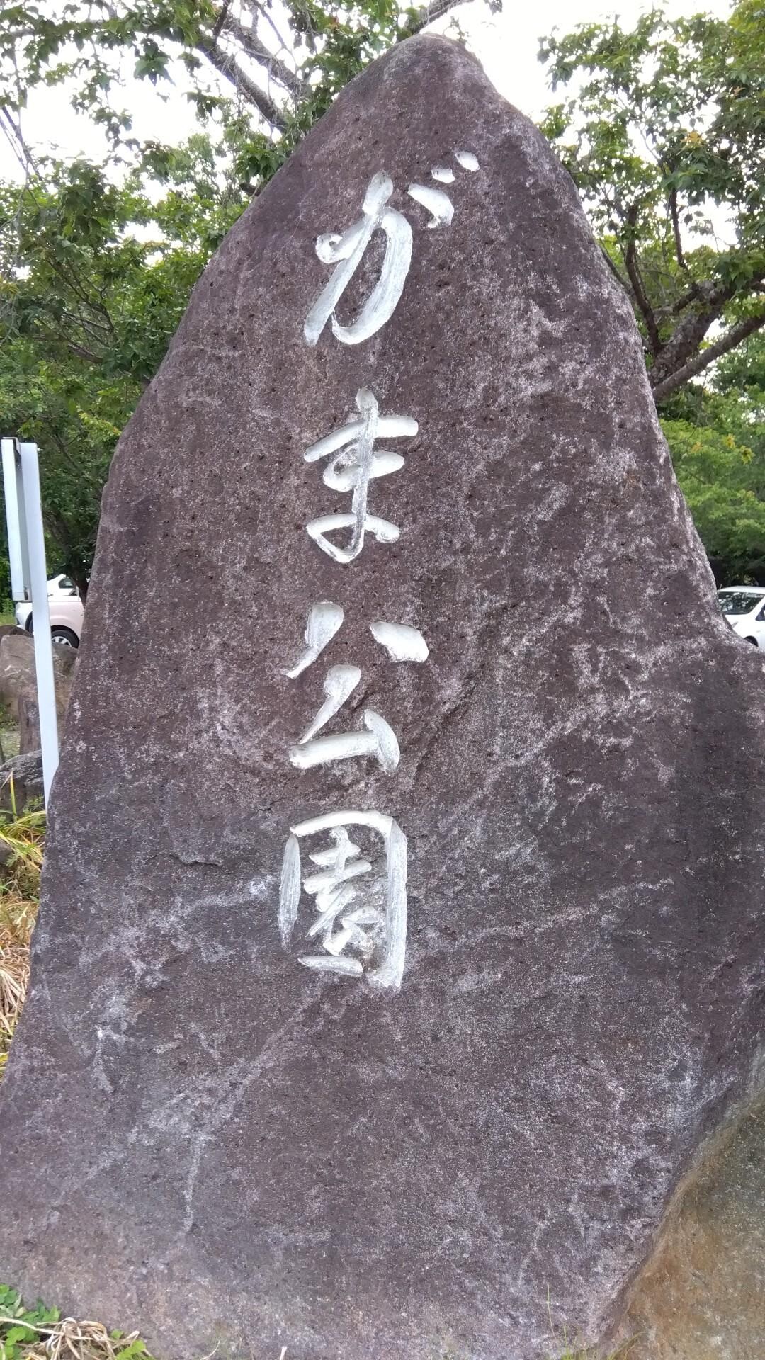 ホシザキユキノシタは咲いたかな🤔 / w.miyukiさんの筑波山の活動データ | YAMAP / ヤマップ