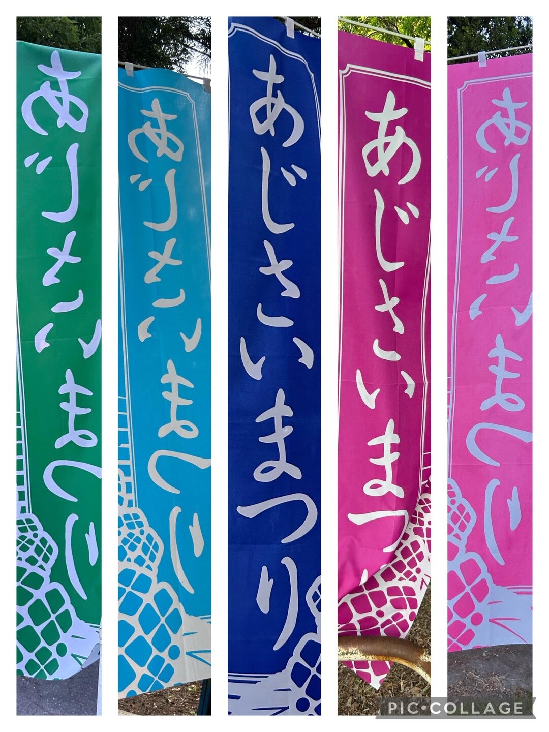 あじさいまつり / およさんの菩提寺山・高立山・護摩堂山の活動データ | YAMAP / ヤマップ