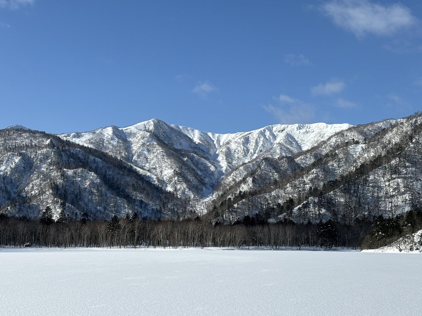 オコタンペ山からぺ湖へ / Yotchさんの漁岳の活動データ | YAMAP / ヤマップ