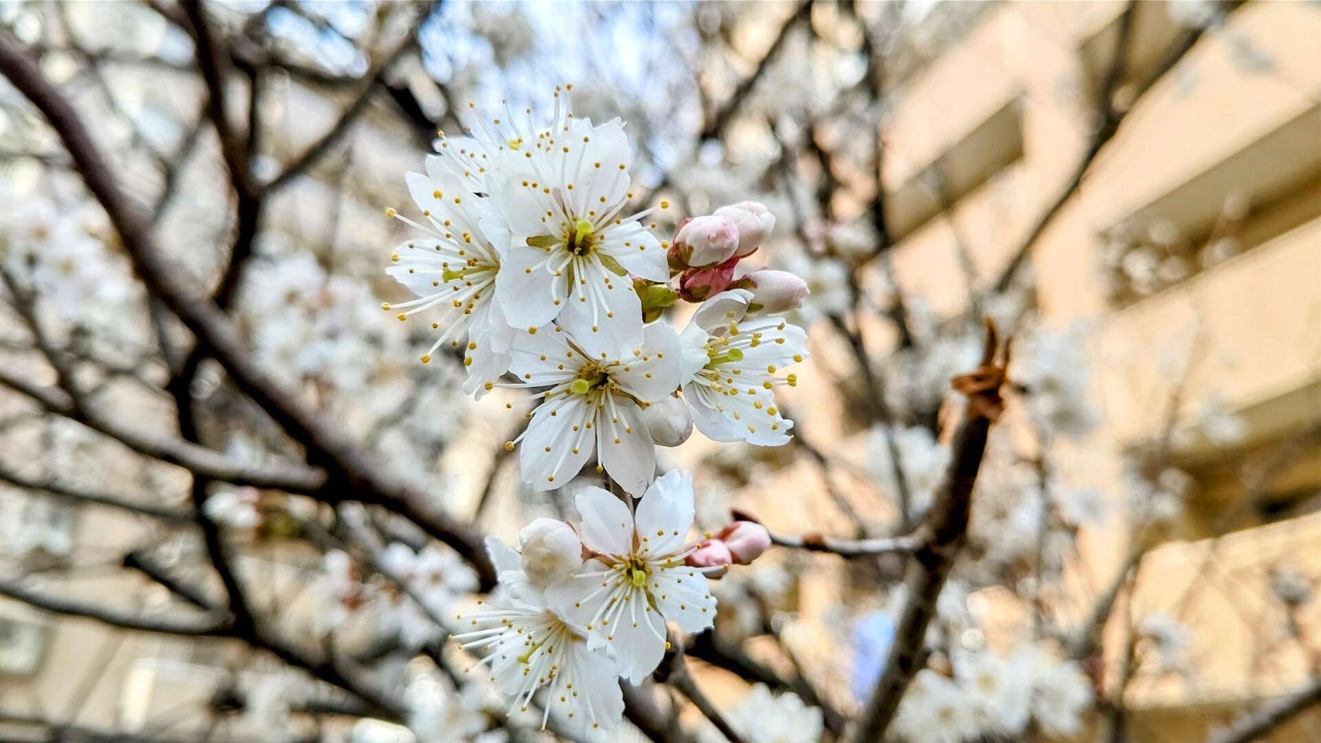 21😆愛宕山 / megさんの能古島の活動データ | YAMAP / ヤマップ