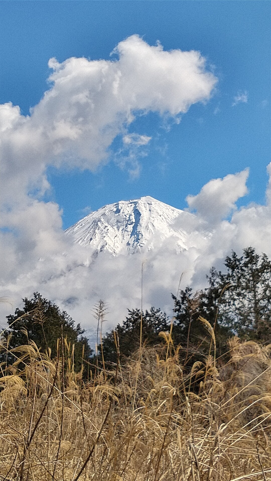 papa_703のページ | YAMAP / ヤマップ