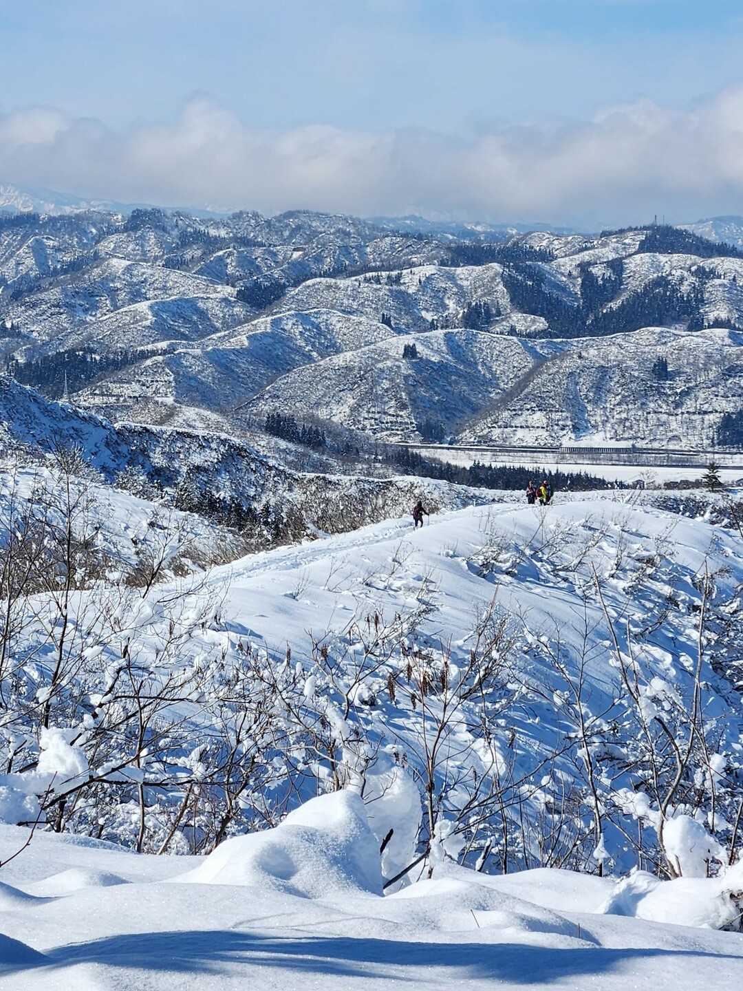 周回コースで、大力山‼️ / kokoさんの大力山・黒禿の頭・笠倉山の活動データ | YAMAP / ヤマップ