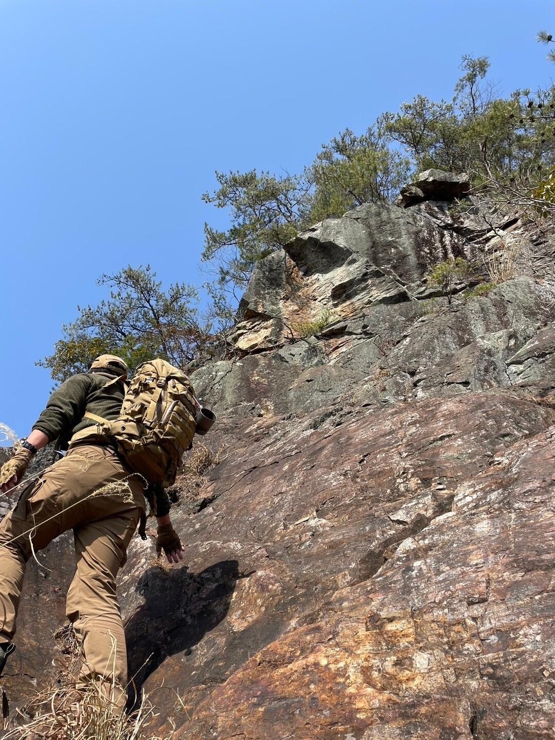 斑根石山・540P・シゲト山・鞍掛山・長倉山・天狗鳥屋 / calboyさんの古賀志山・赤岩山・鞍掛山・男抱山・半蔵山の活動データ | YAMAP / ヤマップ