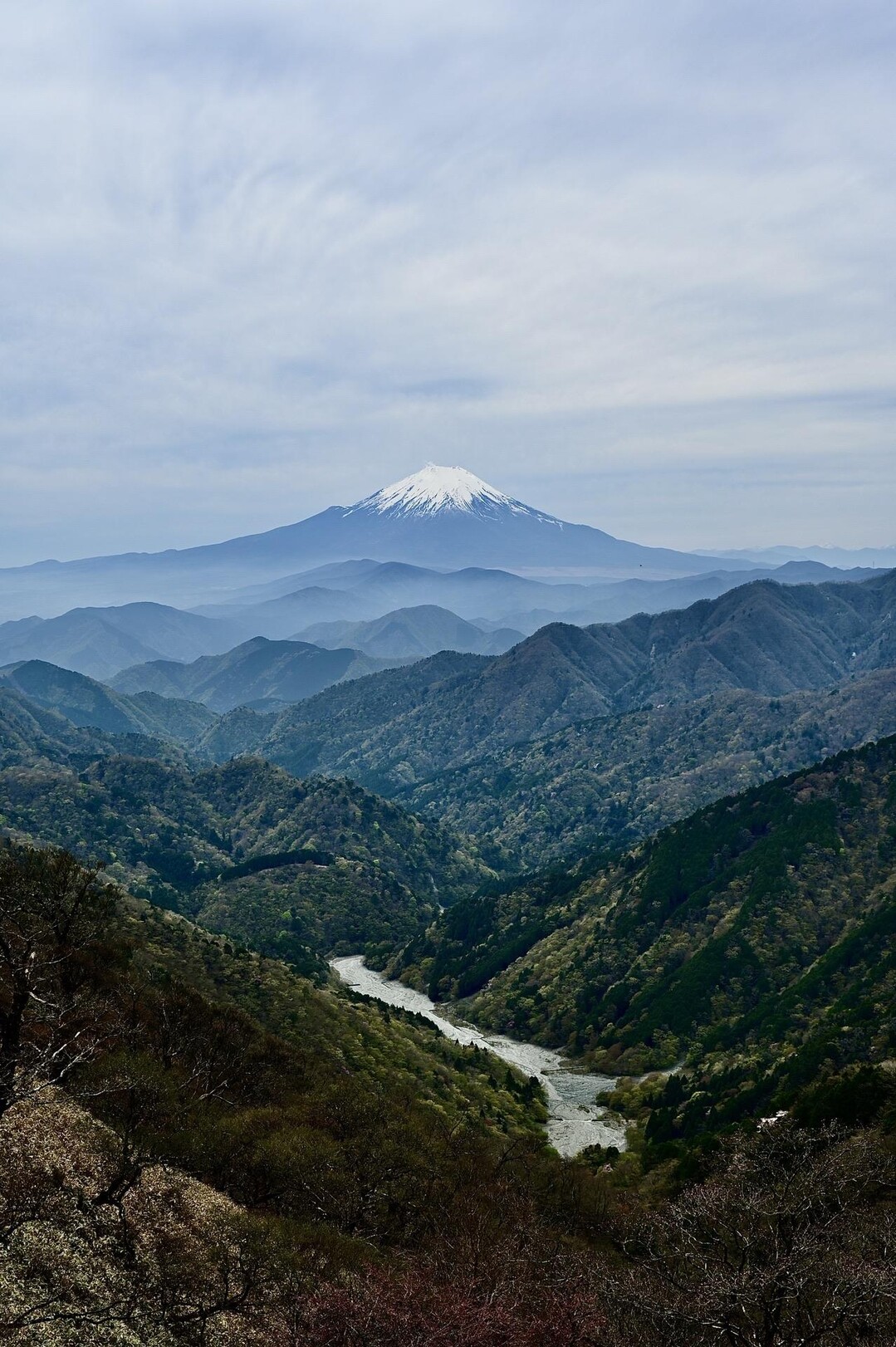 戒登山🤤 / mameggsさんの丹沢山の活動データ | YAMAP / ヤマップ