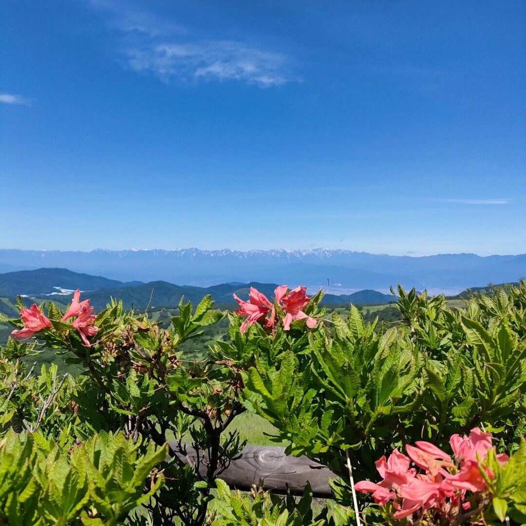 四阿山・根子岳 / 山歩 JKさんの四阿山・根子岳の活動データ | YAMAP / ヤマップ