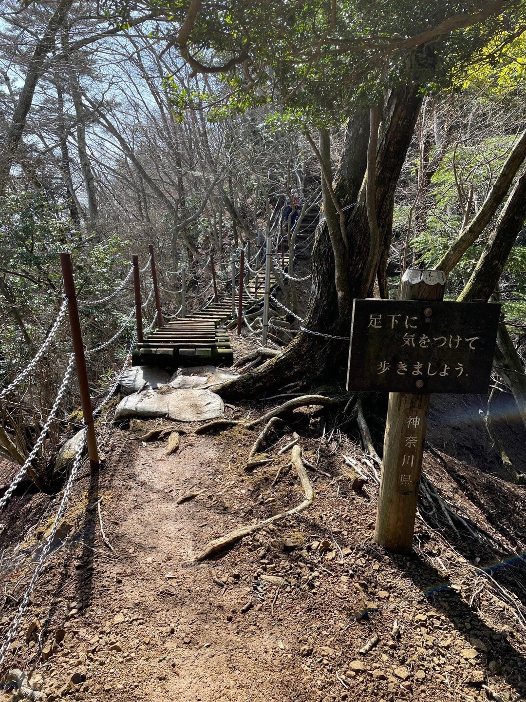 terryさんの投稿したフィールドメモ | YAMAP / ヤマップ