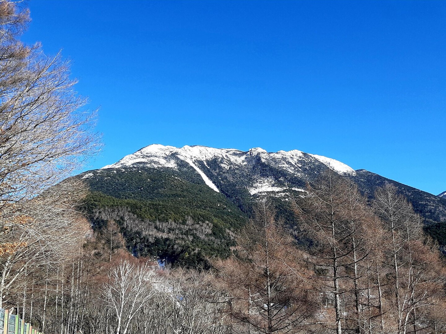 蓼科山 周遊 2023-01-12 / Heroさんの蓼科山・横岳・縞枯山の活動データ | YAMAP / ヤマップ