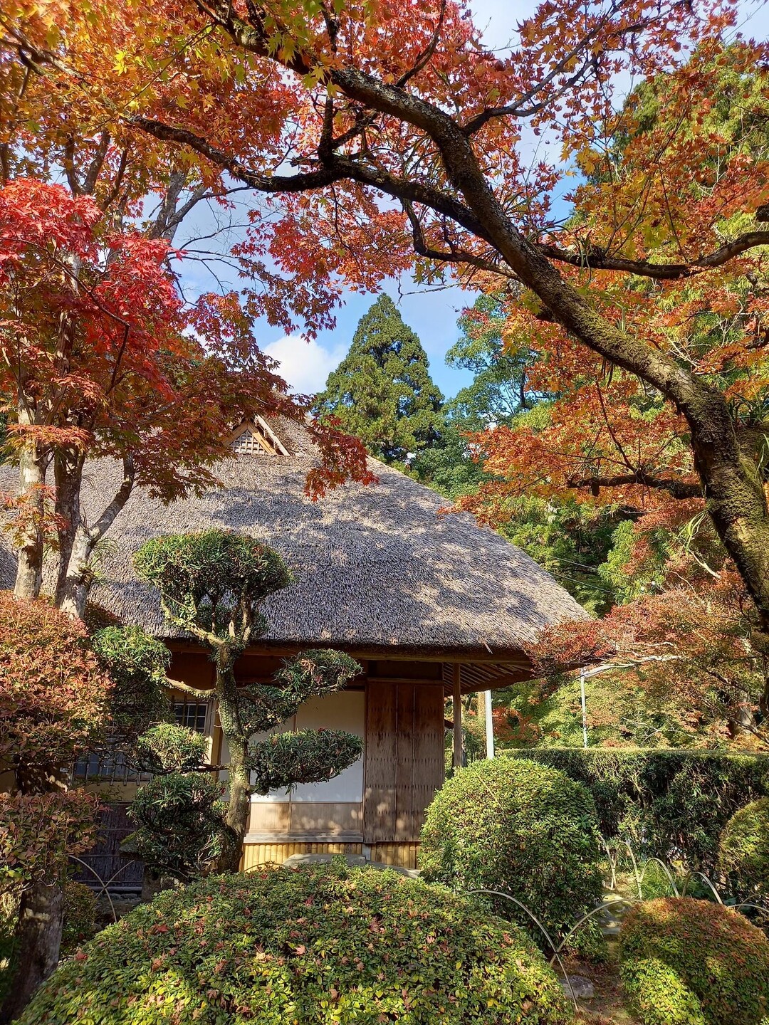 九年庵と仁比山神社-2022-11-16 / いさやまこさんの土器山（八天山）・腰巻山の活動データ | YAMAP / ヤマップ