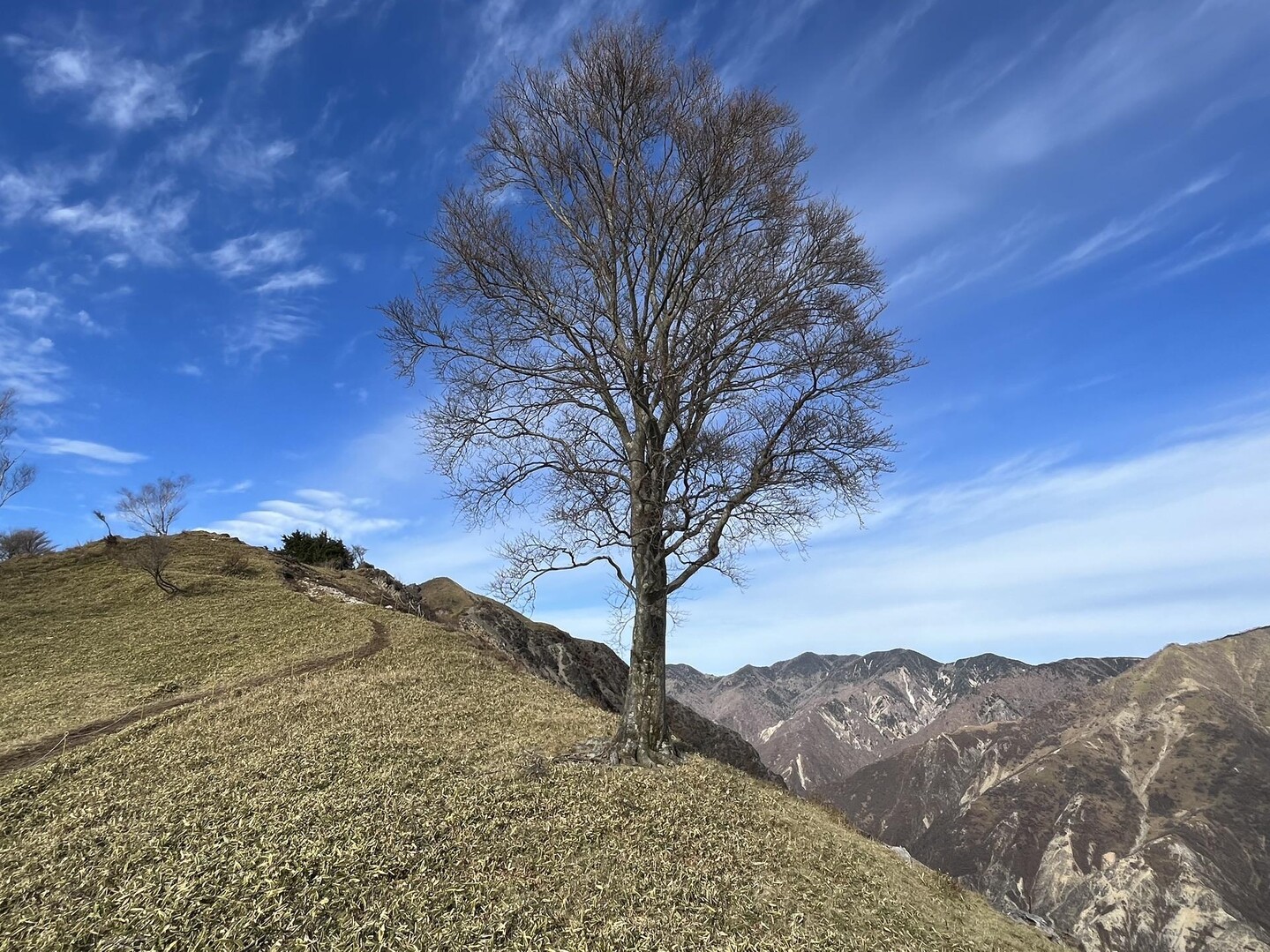 2023.11.23 中倉山⛰️ / Ryo-Ryoさんの社山・半月山の活動データ | YAMAP / ヤマップ
