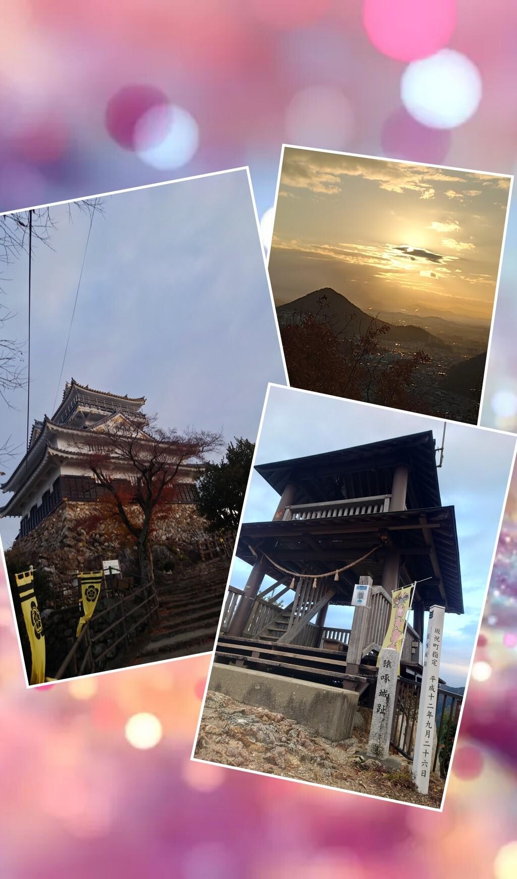 パンドラの箱を開けてしまった縦走… / KOZUEさんの金華山・洞山・舟伏山の活動データ | YAMAP / ヤマップ