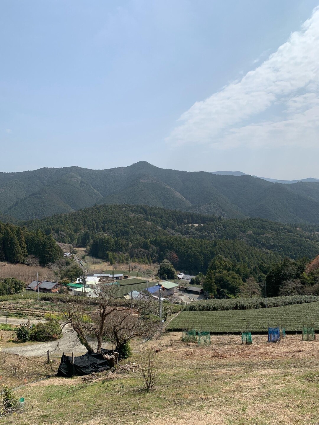 森町・戦国夢街道と高塚山 / jimきちさんの本宮山・高塚山の活動データ | YAMAP / ヤマップ