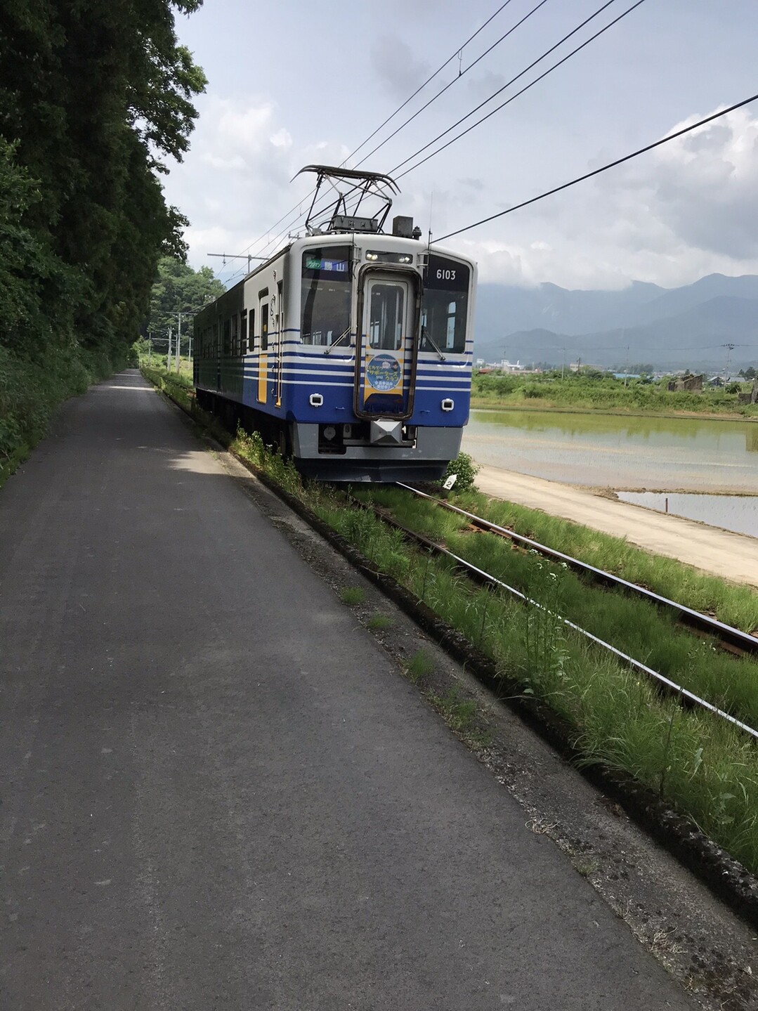 子鹿山 バンビライン / Baziruさんの小鹿山の活動データ | YAMAP / ヤマップ