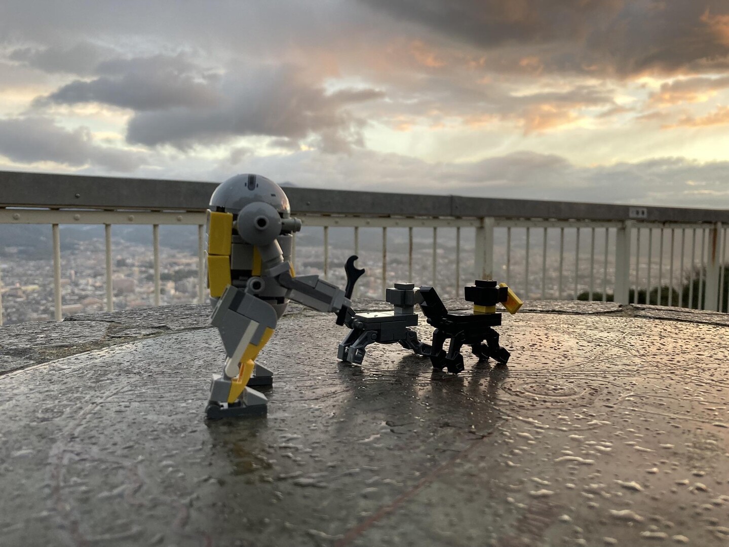 天拝山 / Suyamaさんの天拝山・基山の活動日記 | YAMAP / ヤマップ