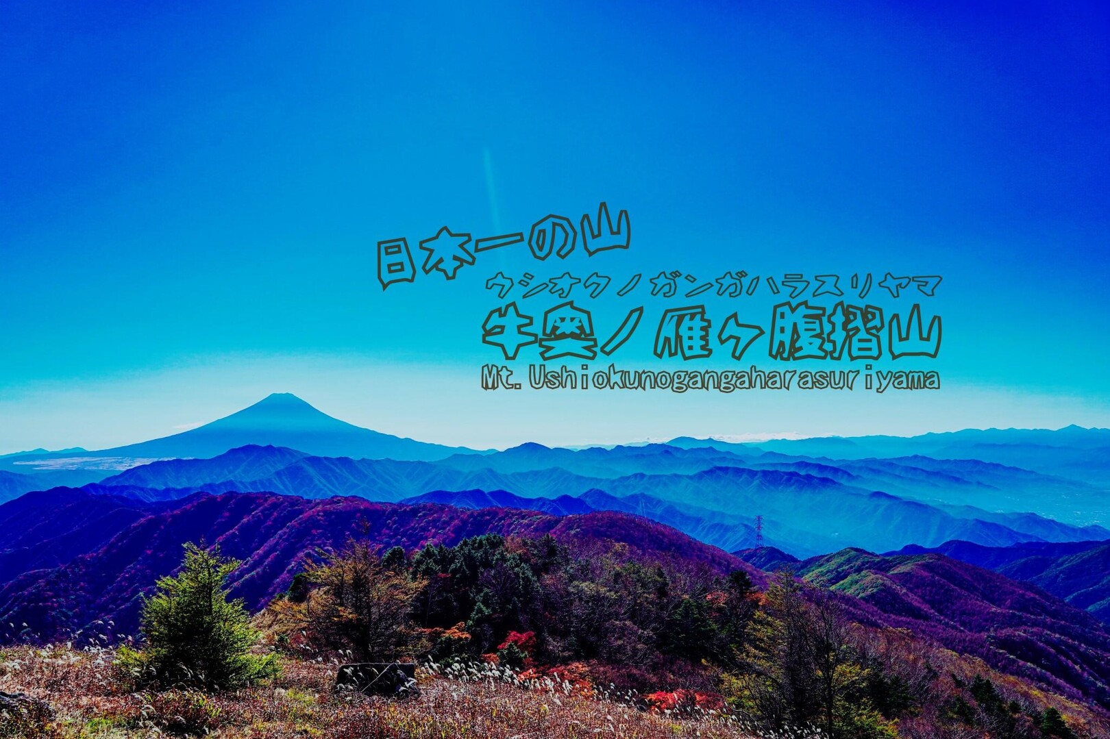 日本一の頂へ🎌牛奥ノ雁ヶ腹摺山⛰️ / Riot Kさんの雁ヶ腹摺山・岩殿山の活動データ | YAMAP / ヤマップ
