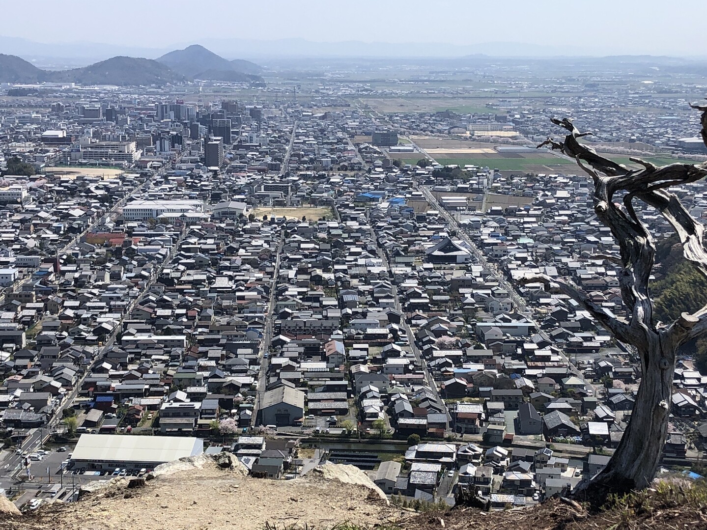 ＊chi ＊さんの投稿したフィールドメモ | YAMAP / ヤマップ