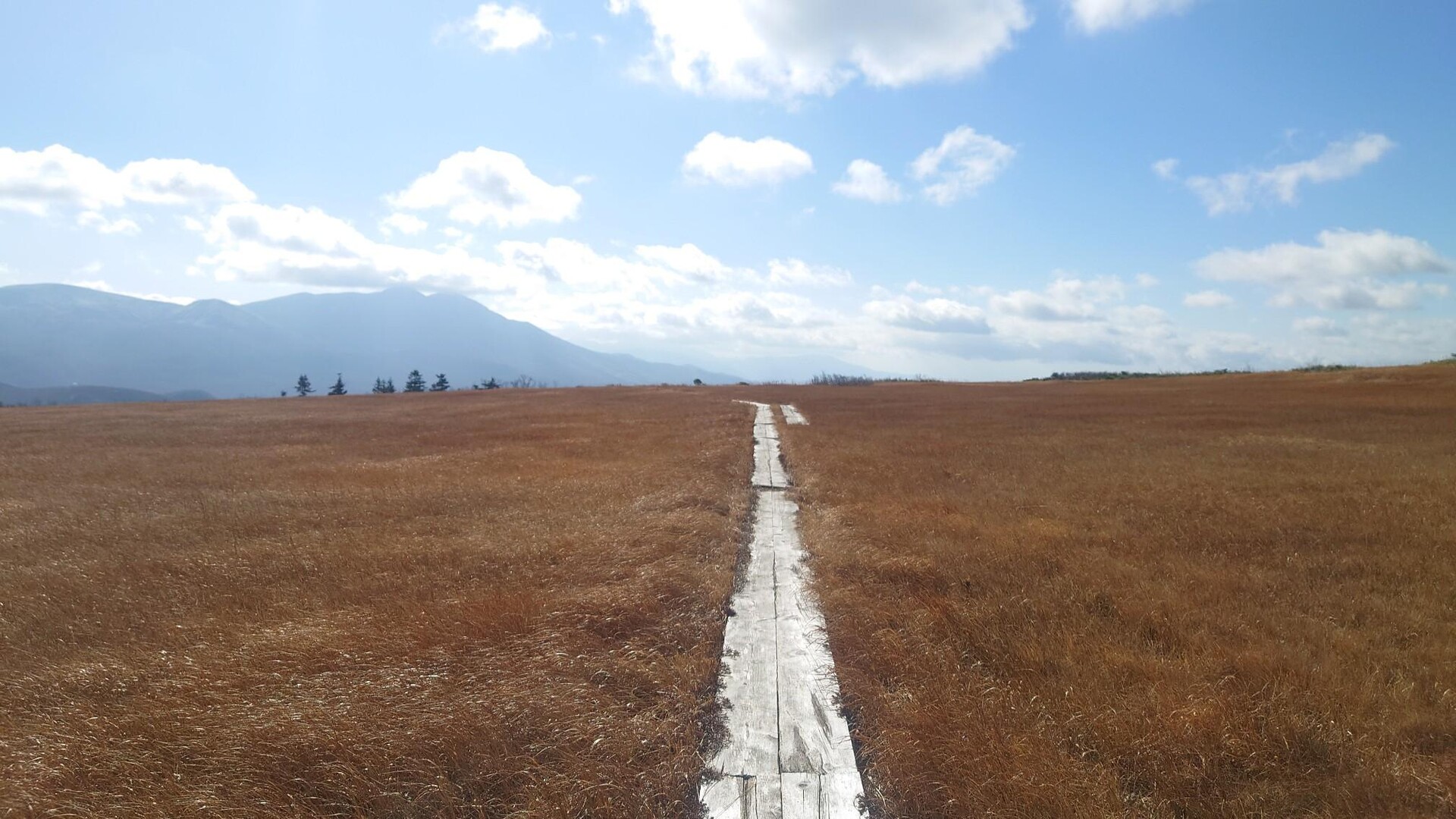 小白森山1145m・大白森1215.5m / ナオキさんの乳頭山・湯森山・大白森の活動データ | YAMAP / ヤマップ