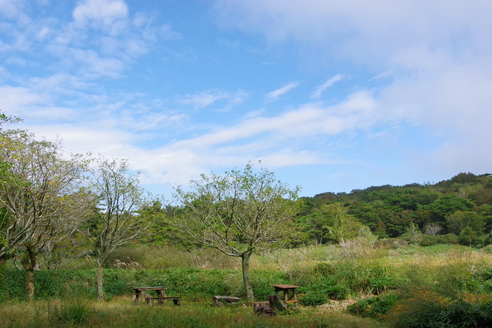 皿ヶ嶺ゆるゆる山歩 / でこぼこMamoさんの皿ヶ嶺・梅ヶ谷山・うなめごの活動データ | YAMAP / ヤマップ