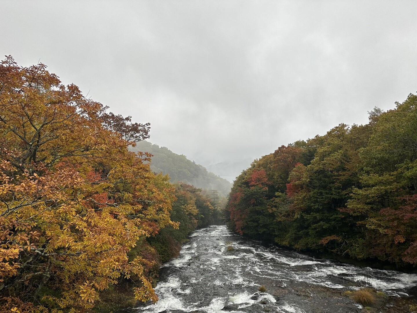 日光連山DNF それでも日光は良いところでした / tajimakさんの男体山の活動データ | YAMAP / ヤマップ