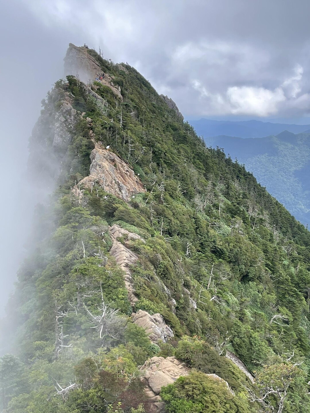前社ヶ森・剣山・石鎚山・天狗岳・南尖峰 / nekoさんの石鎚山・堂ヶ森・二ノ森の活動データ | YAMAP / ヤマップ
