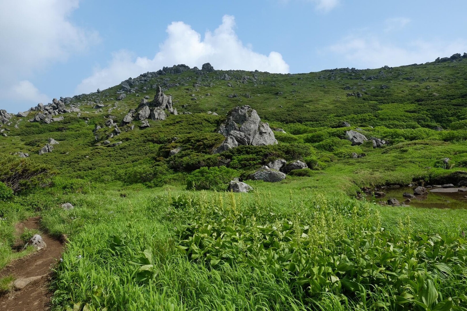 トムラウシ山テント泊2日目 / shigeさんのGT3 2の活動データ | YAMAP / ヤマップ