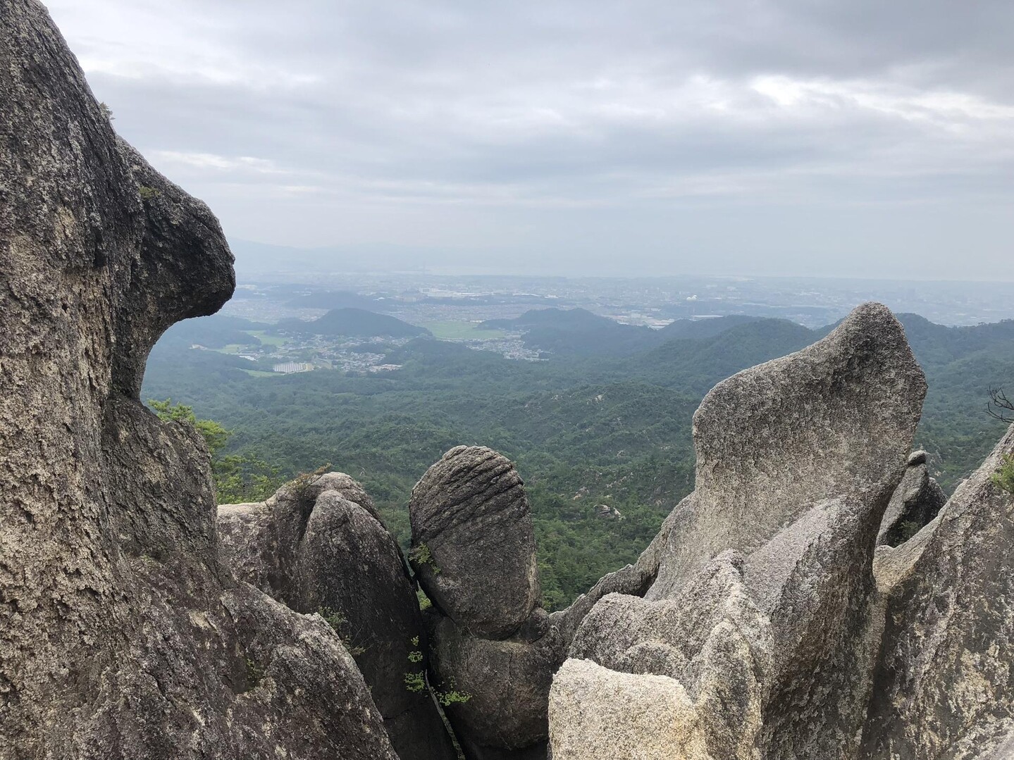 天狗岩 / Nandoさんの金勝アルプス（鶏冠山・竜王山）の活動データ | YAMAP / ヤマップ