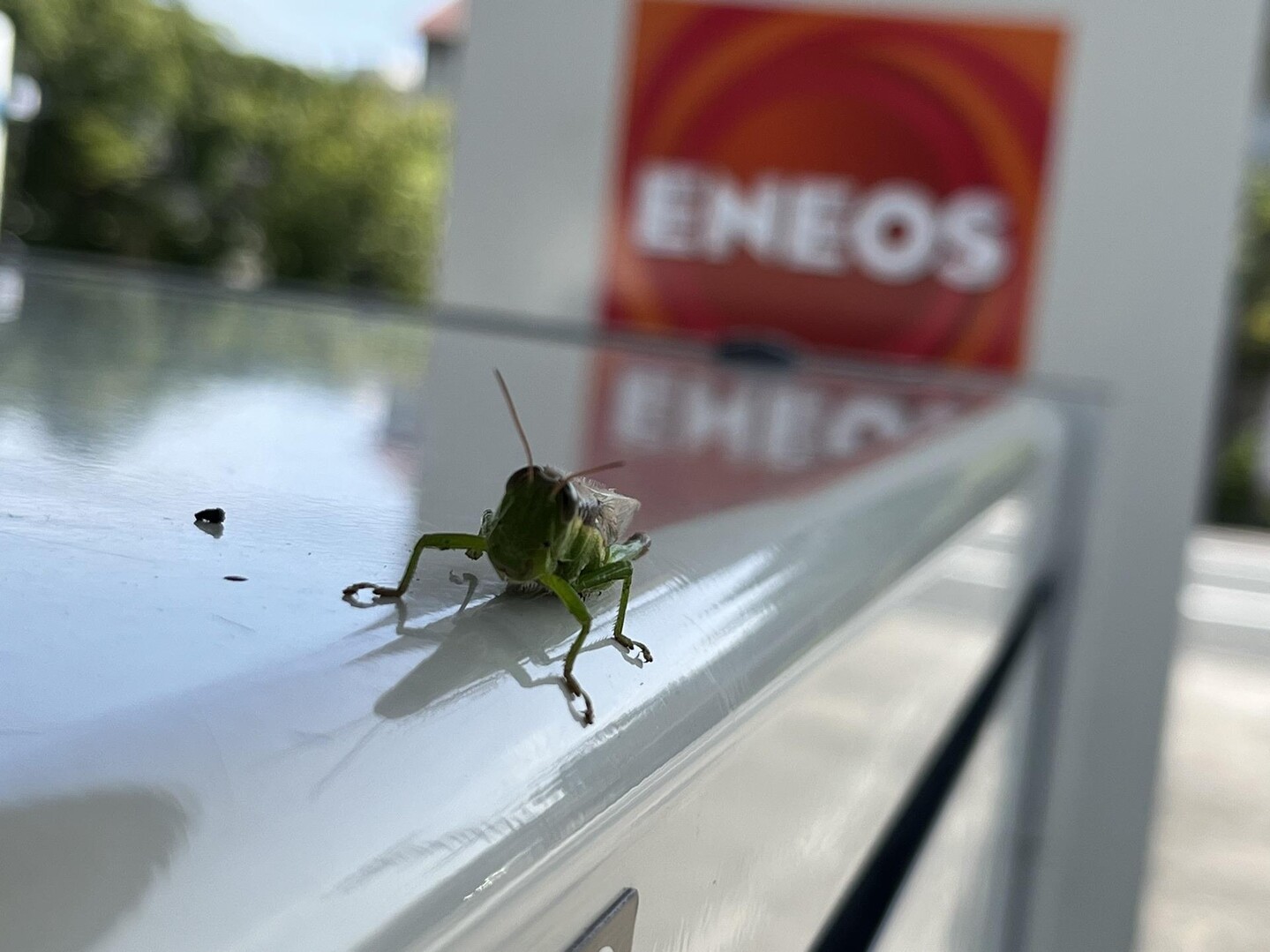 皆さん暑い夏山を楽しんでる様ですね⛰️ ... / カメだよ1960さんのモーメント | YAMAP / ヤマップ