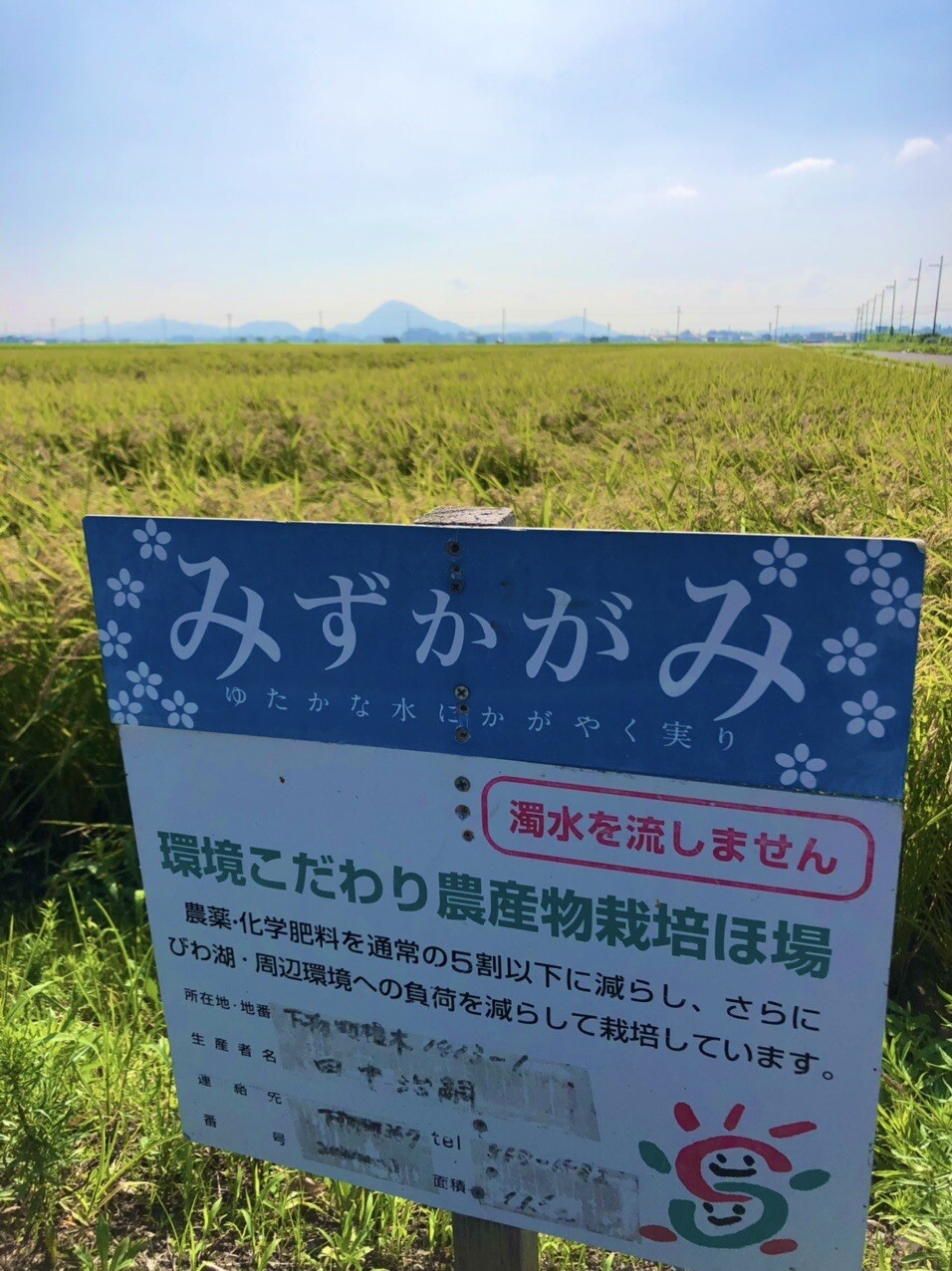 夏の終わり JOG @琵琶湖。 / ふらぼんさんのウォーキングの活動データ | YAMAP / ヤマップ