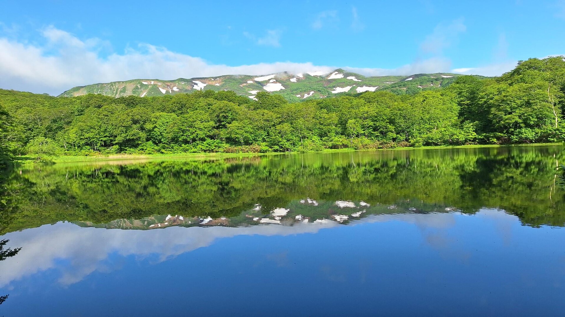 R06.06.06焼石岳・東焼石岳 / たけちゃんさんの焼石岳・兎森山・鷲ヶ森山の活動データ | YAMAP / ヤマップ