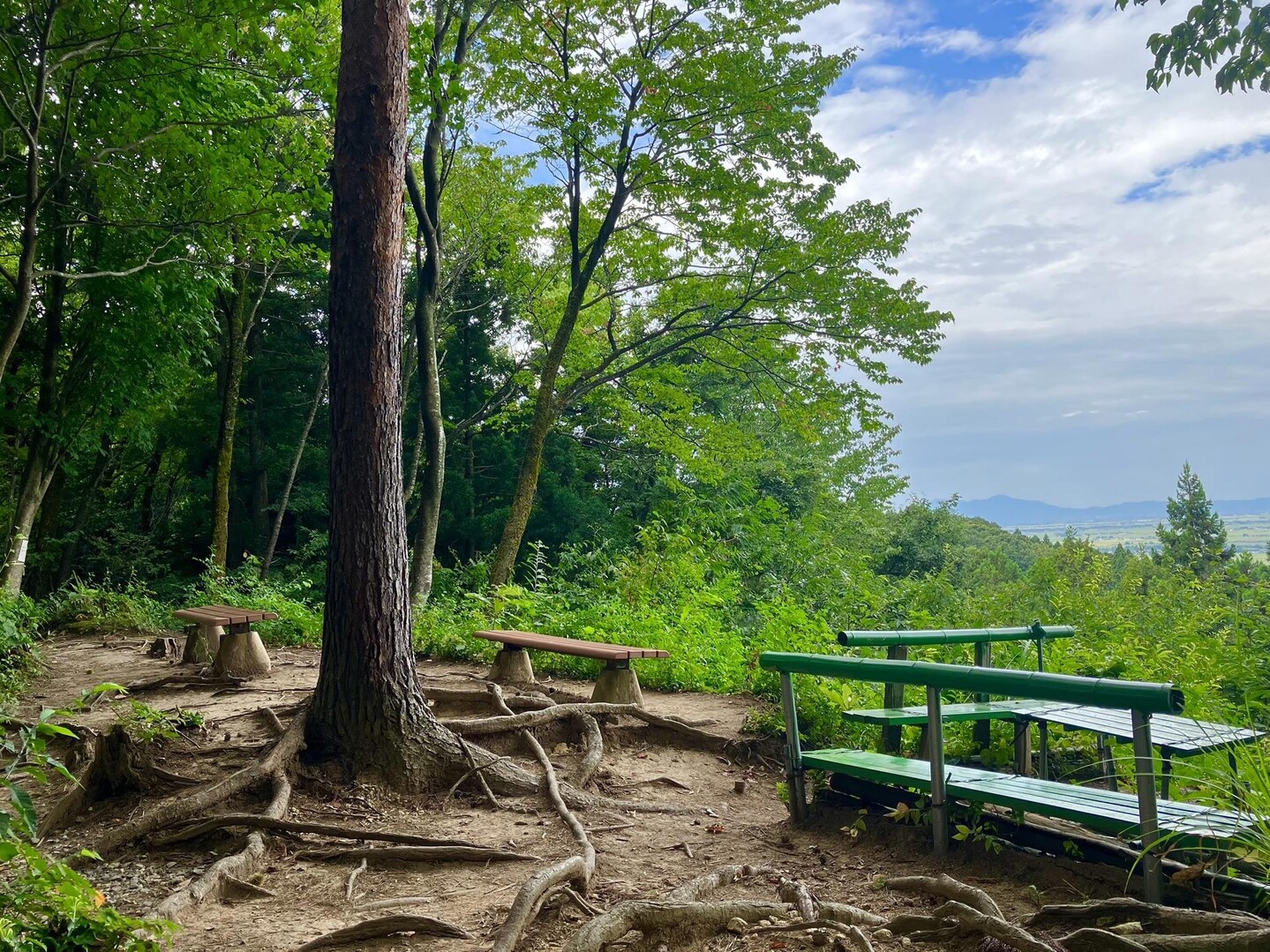 第81話・雨、すくないね。 / Naluさんの菩提寺山・高立山・護摩堂山の活動データ | YAMAP / ヤマップ