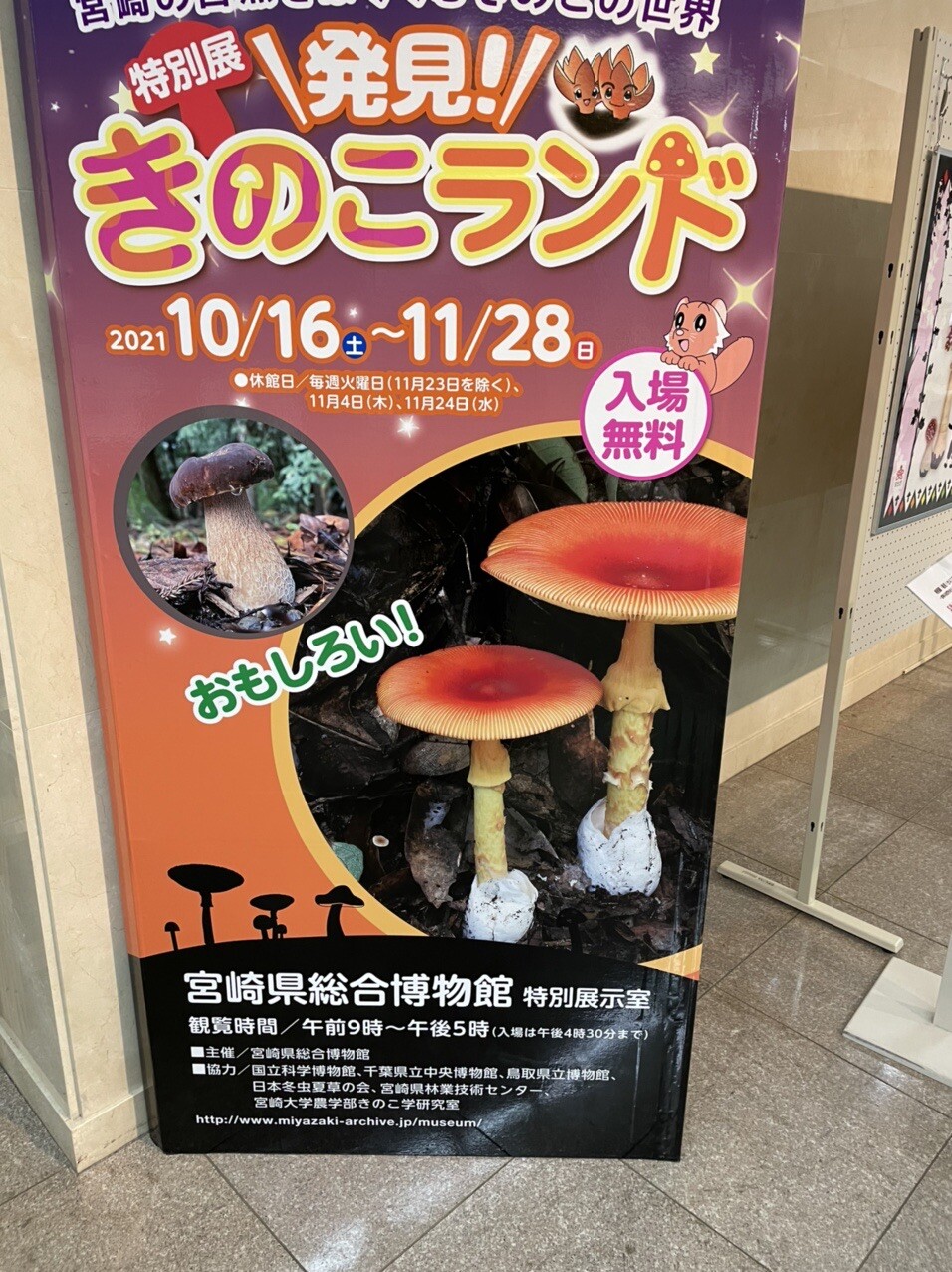 キノコ祭り‼️ / Rinさんの宮崎市の活動データ | YAMAP / ヤマップ