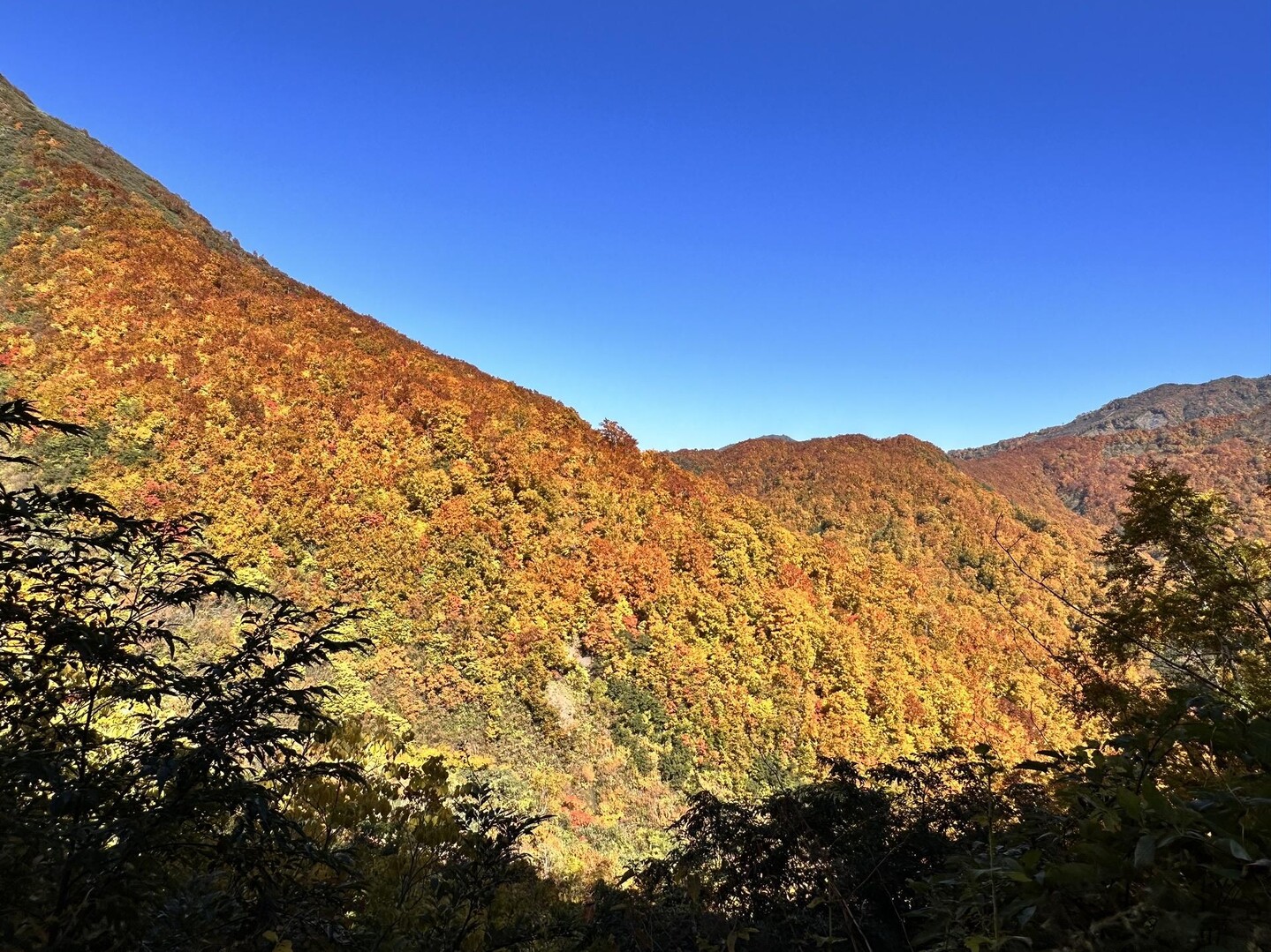 雨飾山 / ER☻さんの雨飾山・大渚山・天狗原山・戸倉山の活動データ | YAMAP / ヤマップ
