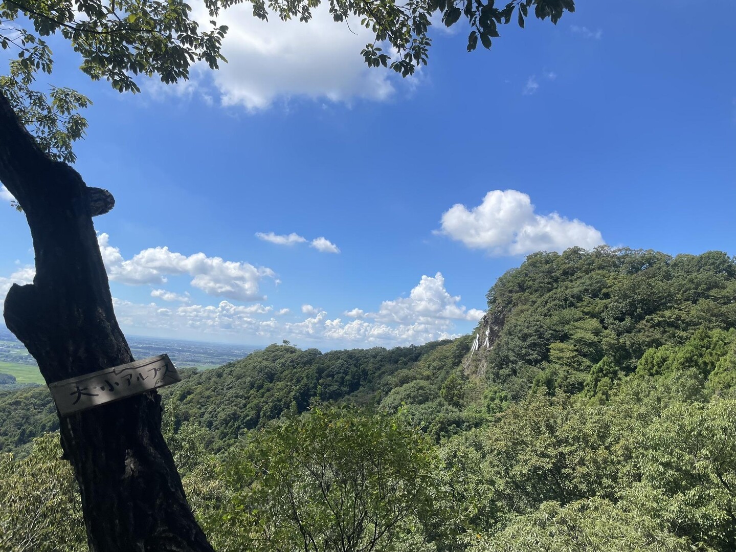 大小山・妙義山 / HAMHAM21さんの大小山（妙義山）・西場富士の活動データ | YAMAP / ヤマップ