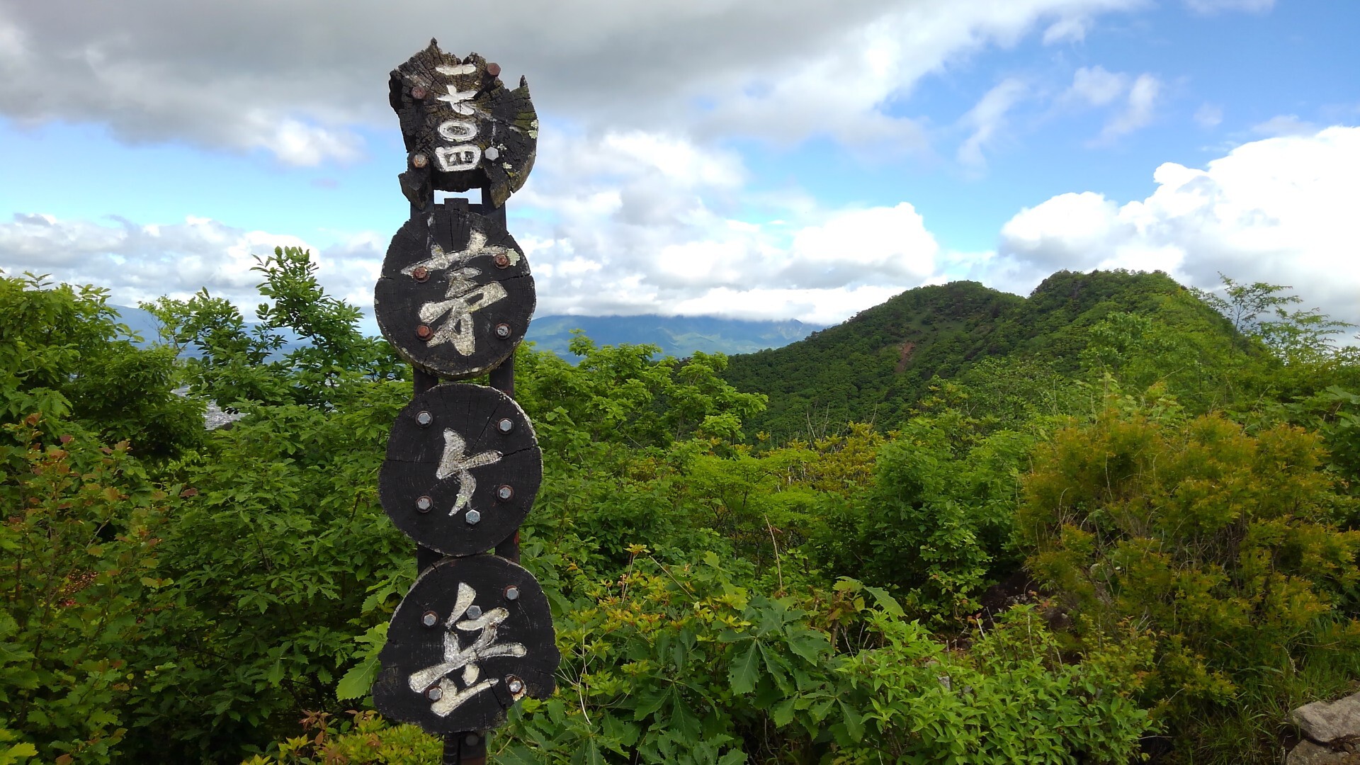 茅ヶ岳・金ヶ岳・兎藪？-2019-06-16 / KEGさんの茅ヶ岳・金ヶ岳・太刀岡山の活動データ | YAMAP / ヤマップ