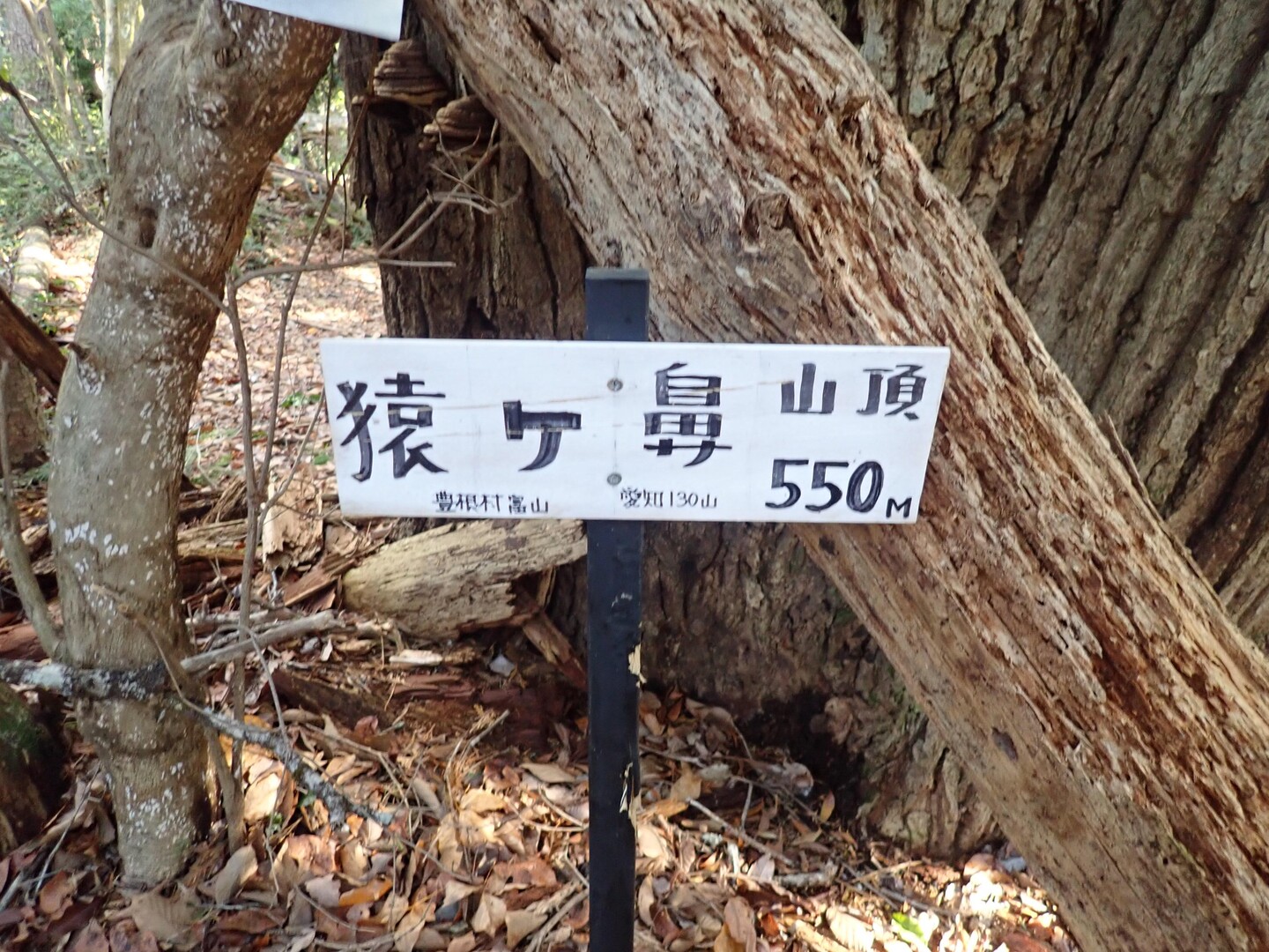 240104-2_猿ヶ鼻（じろうまるコラボ31-2） / EIZさんの日本ヶ塚山の活動データ | YAMAP / ヤマップ