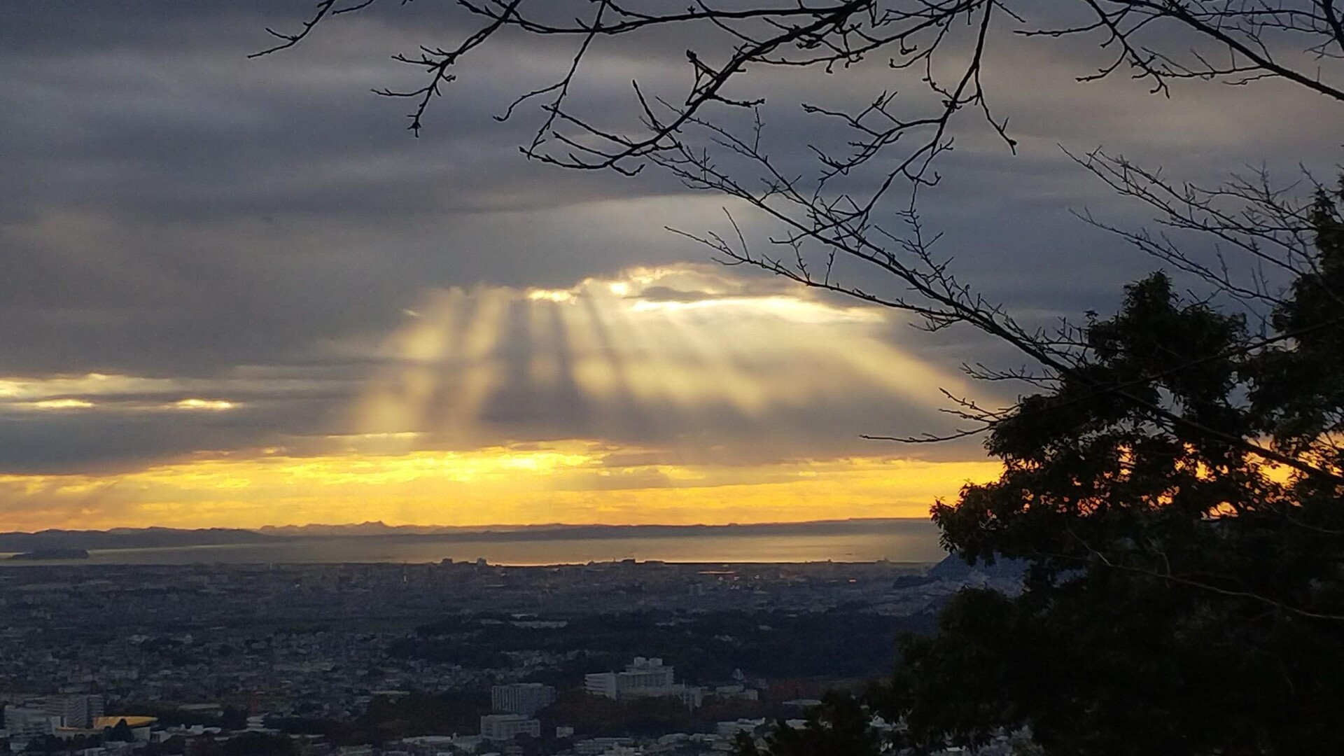 弘法山・大山 / mametakaさんの大山の活動日記 | YAMAP / ヤマップ