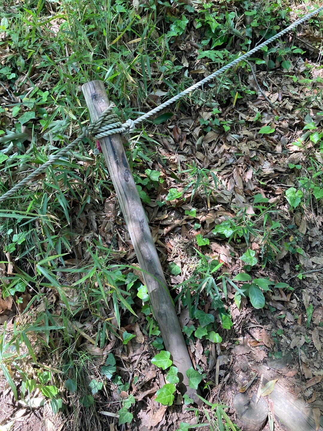 Nakkoさんさんの投稿したフィールドメモ | YAMAP / ヤマップ