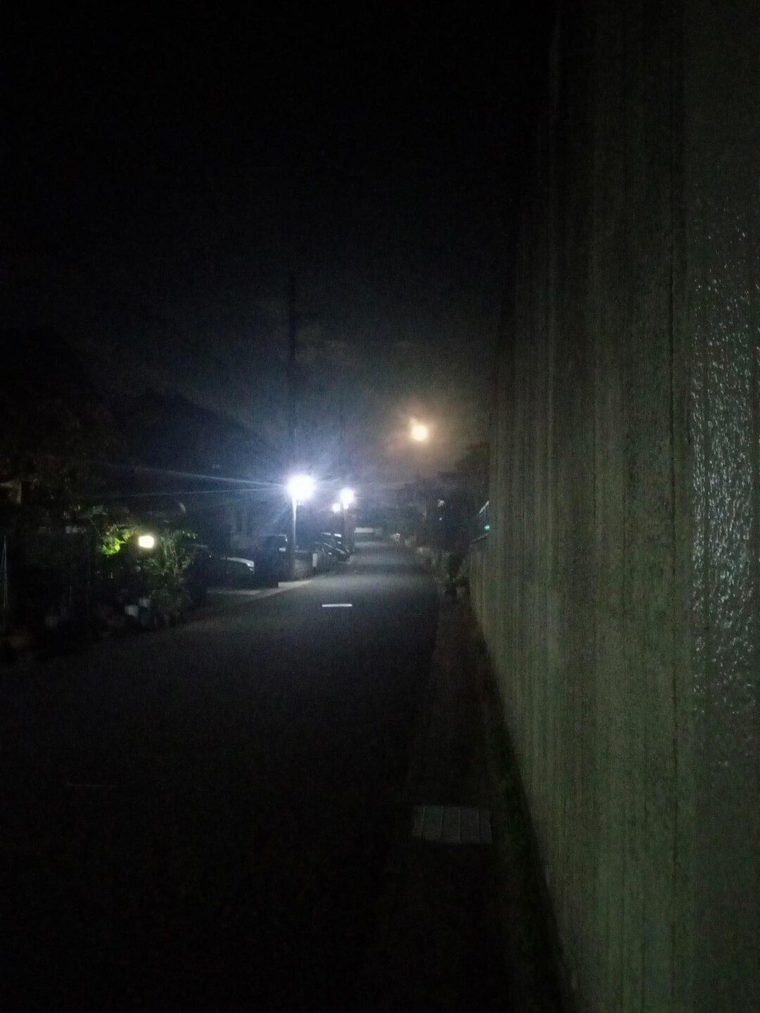 京都 / yuusenさんのモーメント | YAMAP / ヤマップ