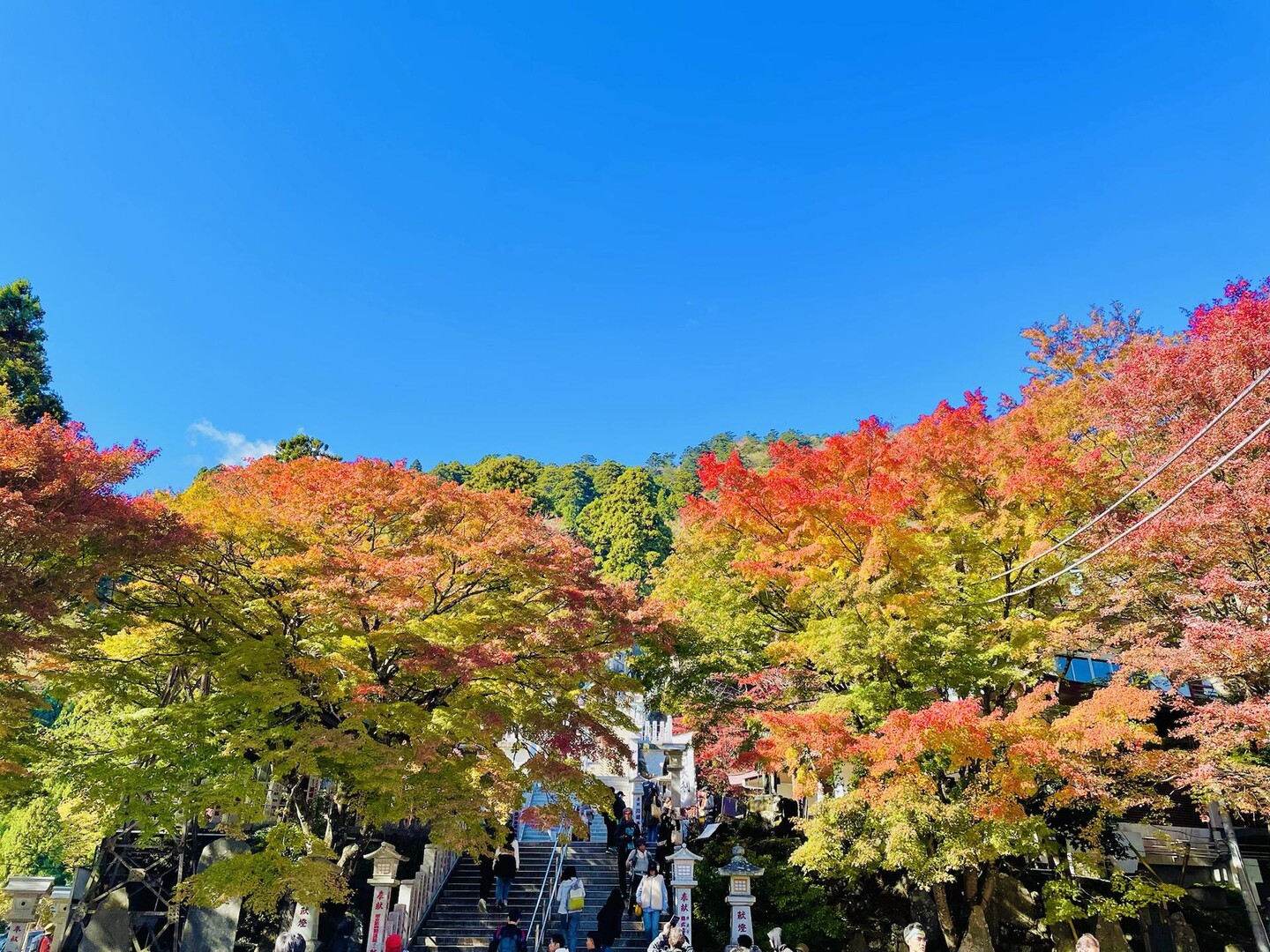 紅葉満喫大山 / Mtrさんの塔ノ岳・丹沢山・蛭ヶ岳の活動データ | YAMAP / ヤマップ