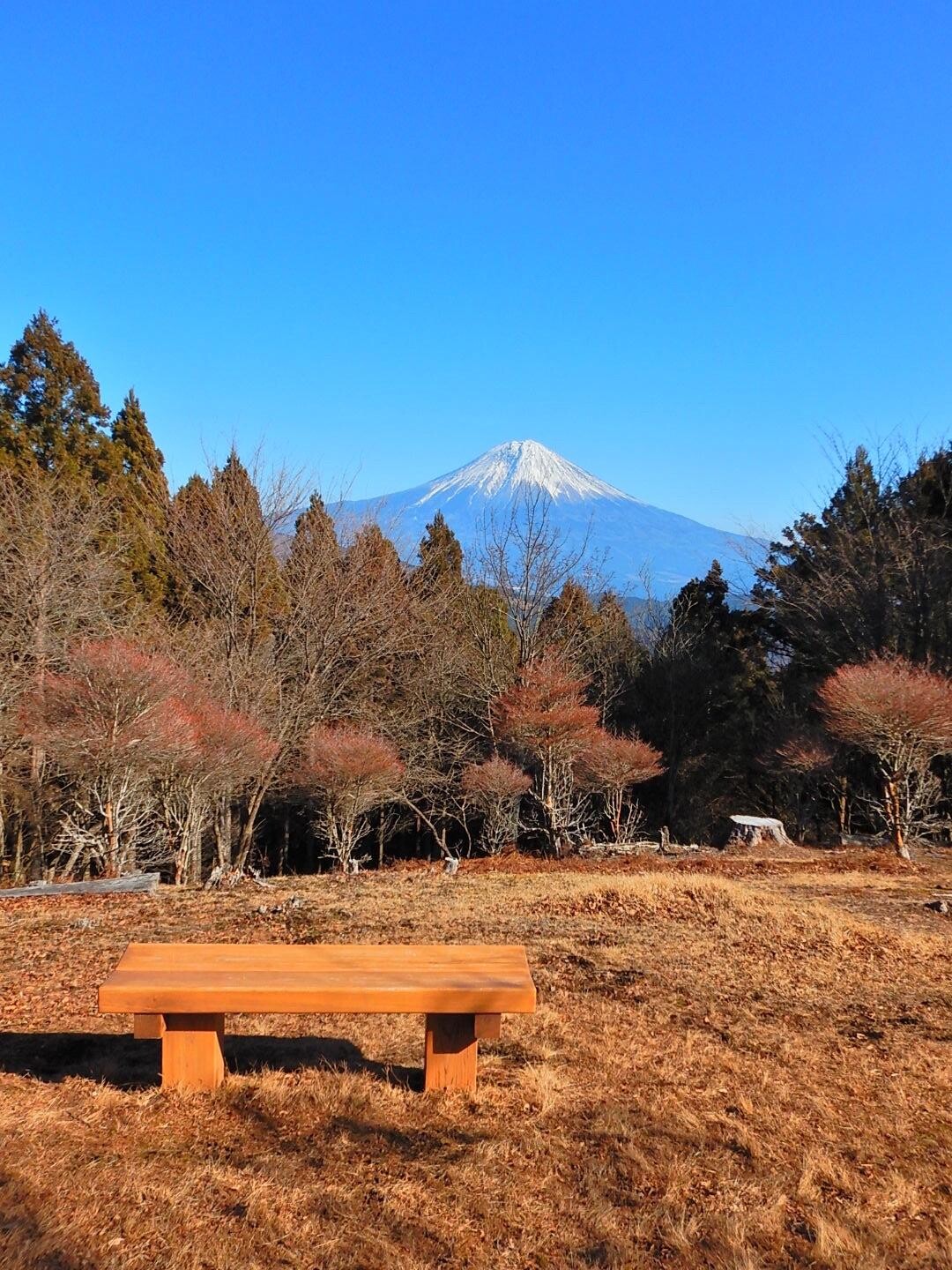 思親山 / dai-modeさんの思親山・三石山の活動データ | YAMAP / ヤマップ