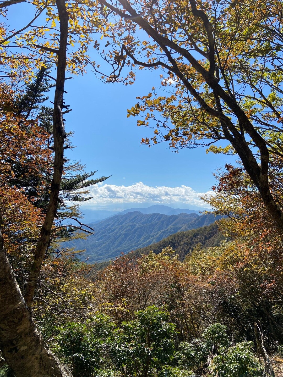 赤岩ノ丸・黒岳 / goqooさんの雁ヶ腹摺山・岩殿山の活動データ | YAMAP / ヤマップ