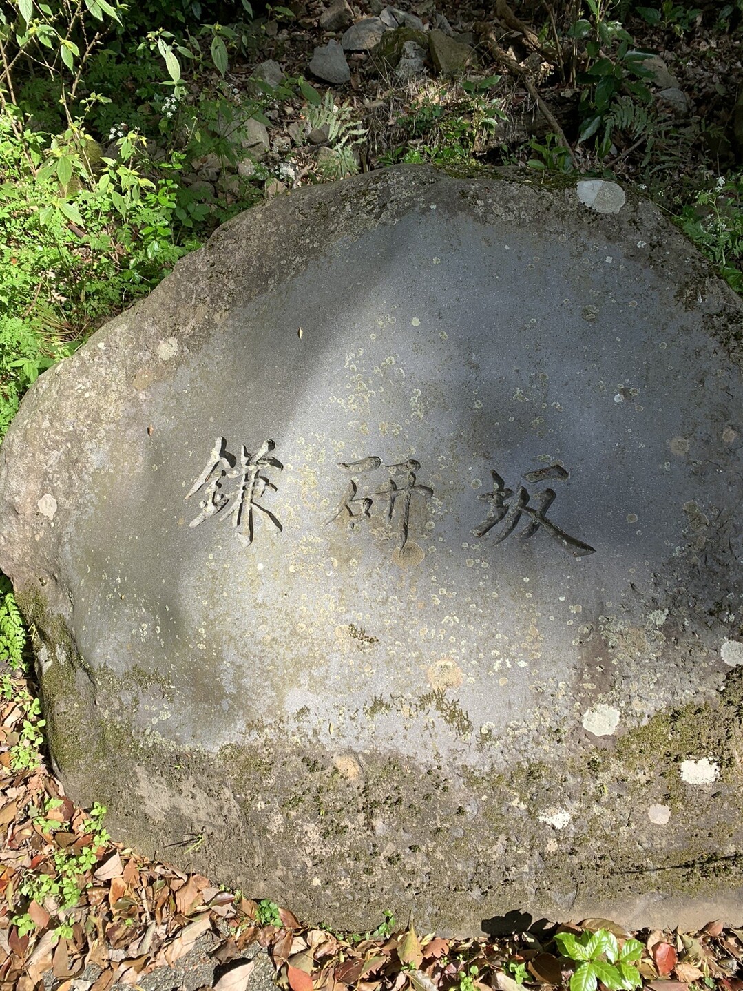 金峰山(熊本県)・二ノ岳・三ノ岳-2020-04-05 / kosさんの金峰山・二ノ岳・三ノ岳の活動データ | YAMAP / ヤマップ