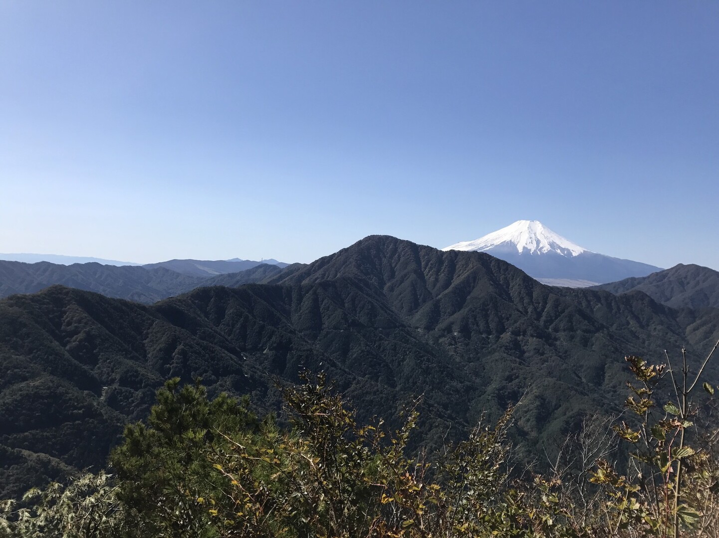 今倉山〜二十六夜山 / chobeeさんの倉岳山・高畑山・九鬼山の活動データ | YAMAP / ヤマップ
