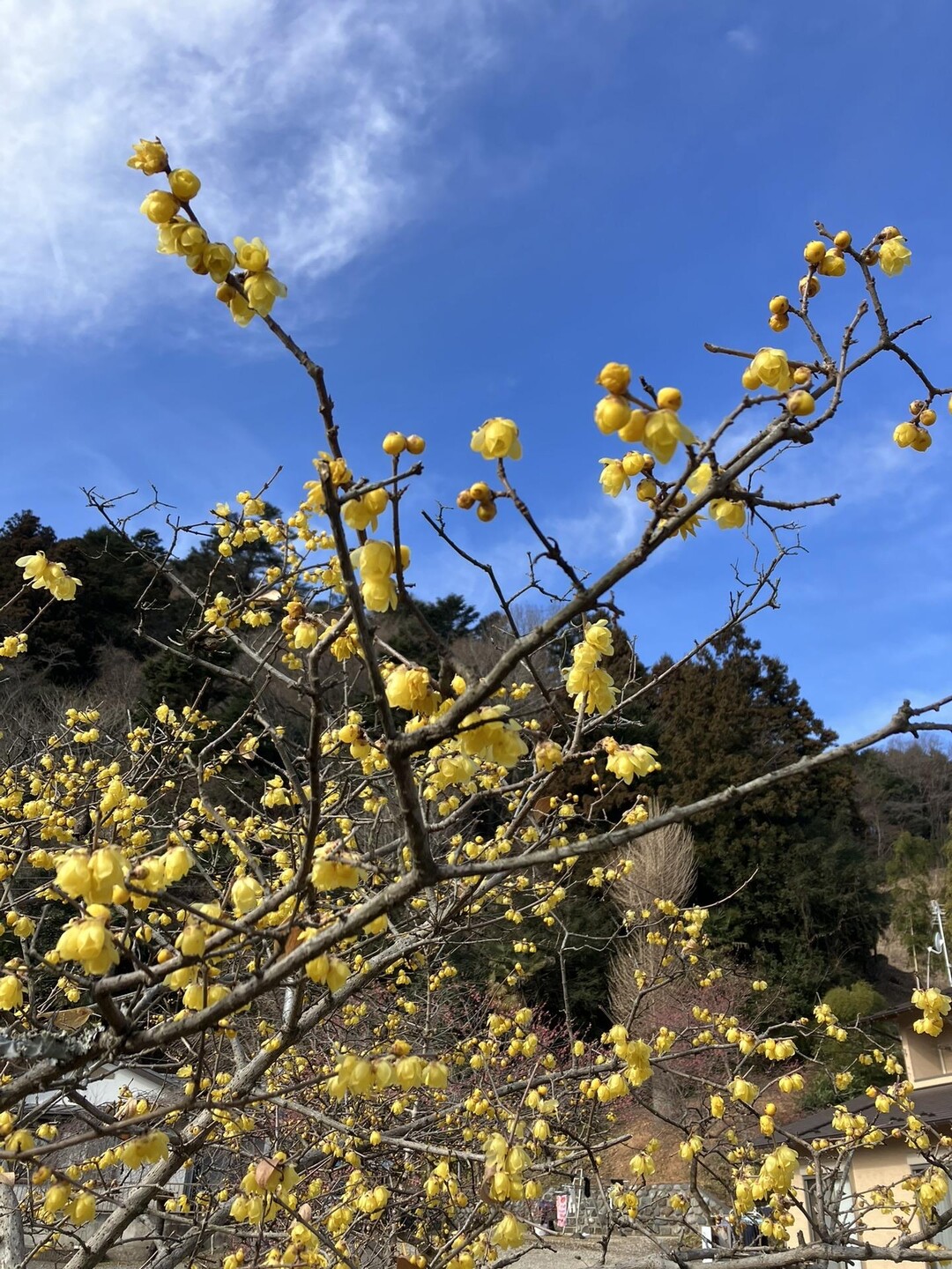 石老山 / ROMIさんの石老山・ 石砂山の活動データ | YAMAP / ヤマップ