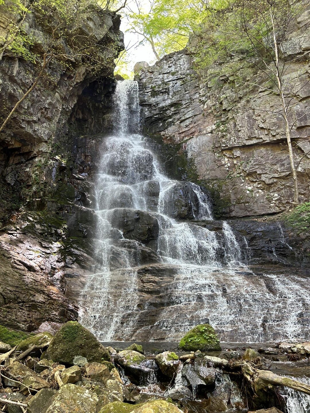 片品川水系 栗原川～ツバメ沢～ケヤキ沢 NO3 / omiさんの皇海山・袈裟丸山・庚申山の活動データ | YAMAP / ヤマップ